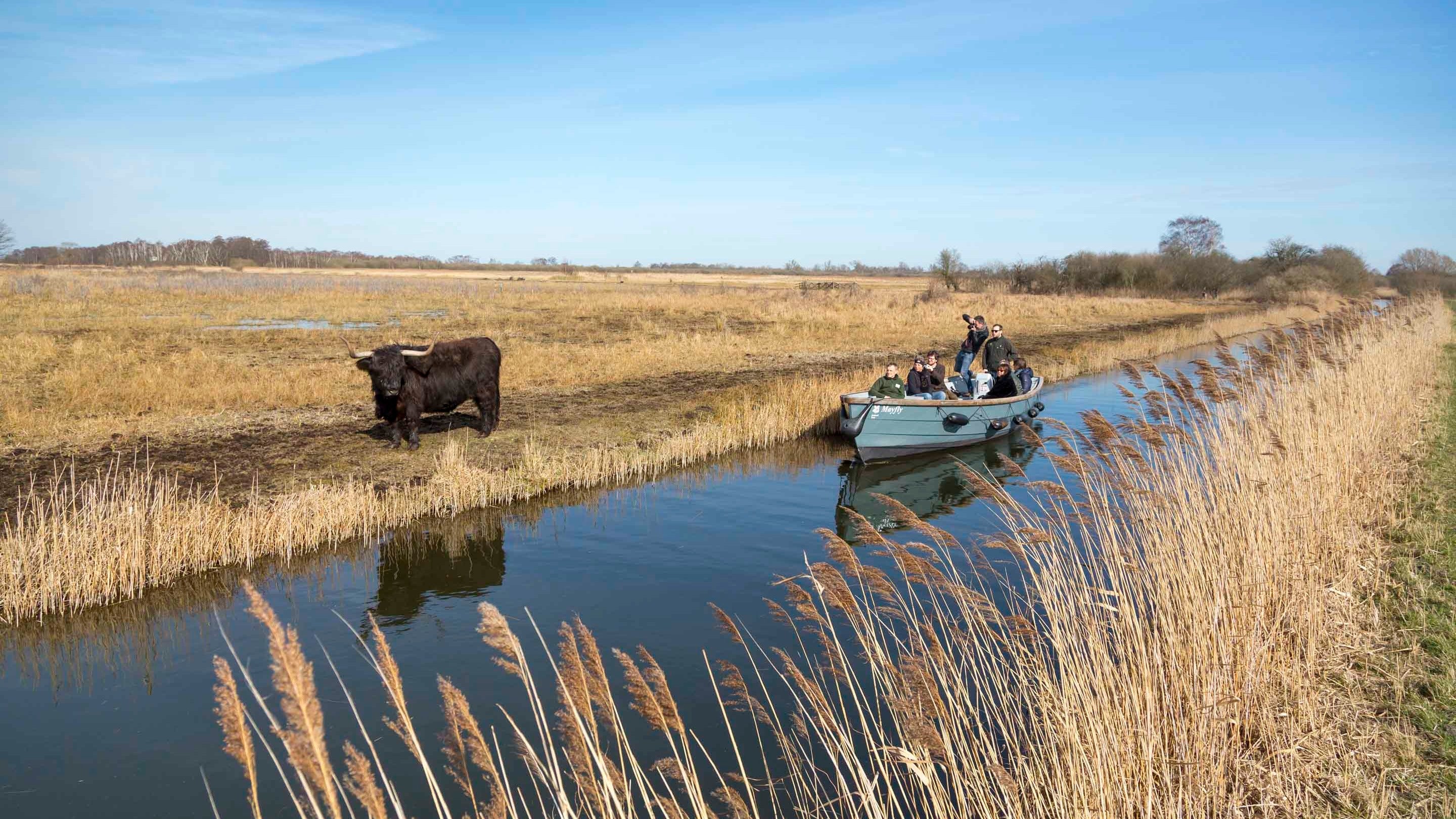 Wicken Fen National Nature Reserve | Cambs | National Trust
