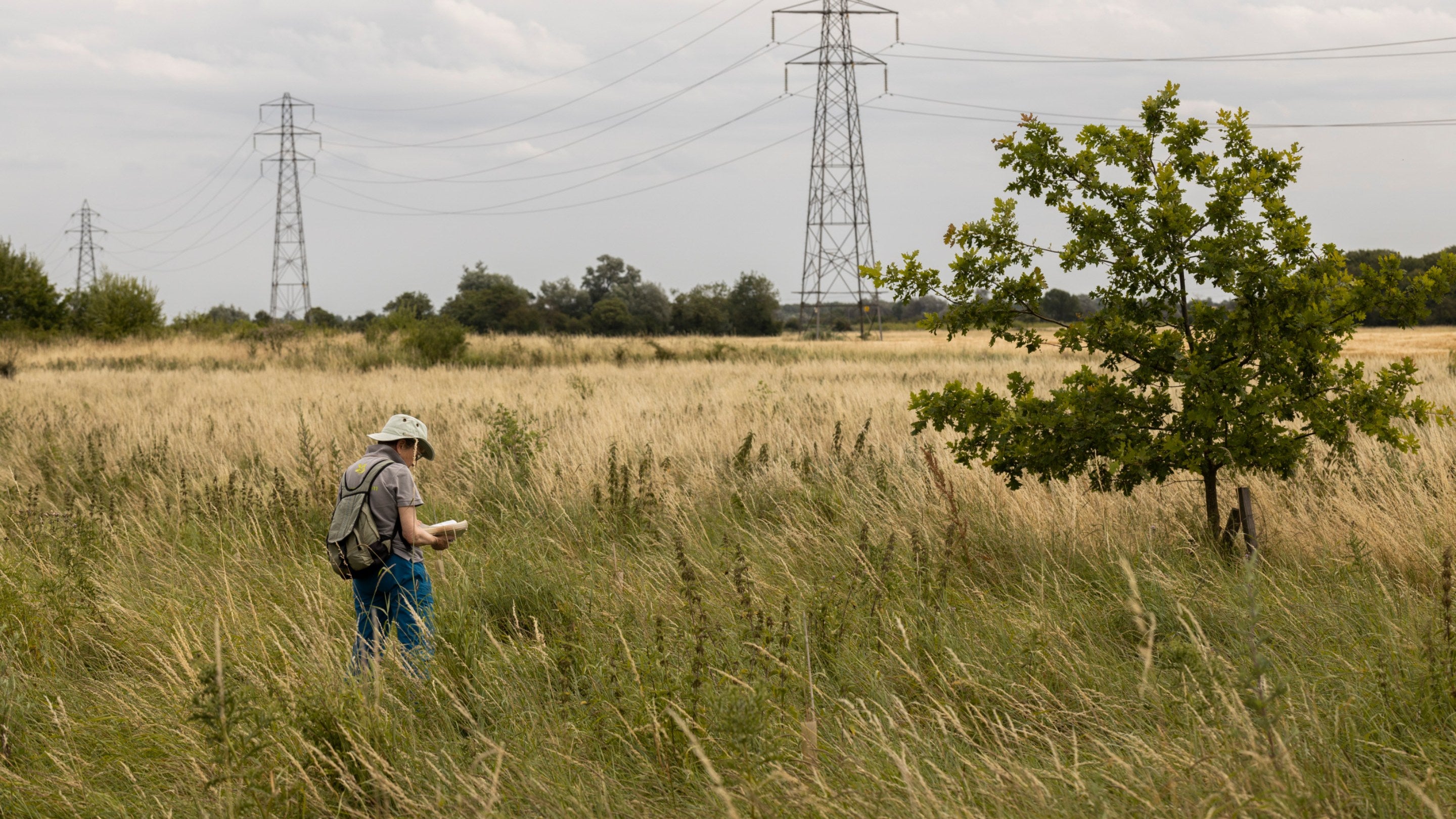 Colonial Countryside | National Trust | National Trust
