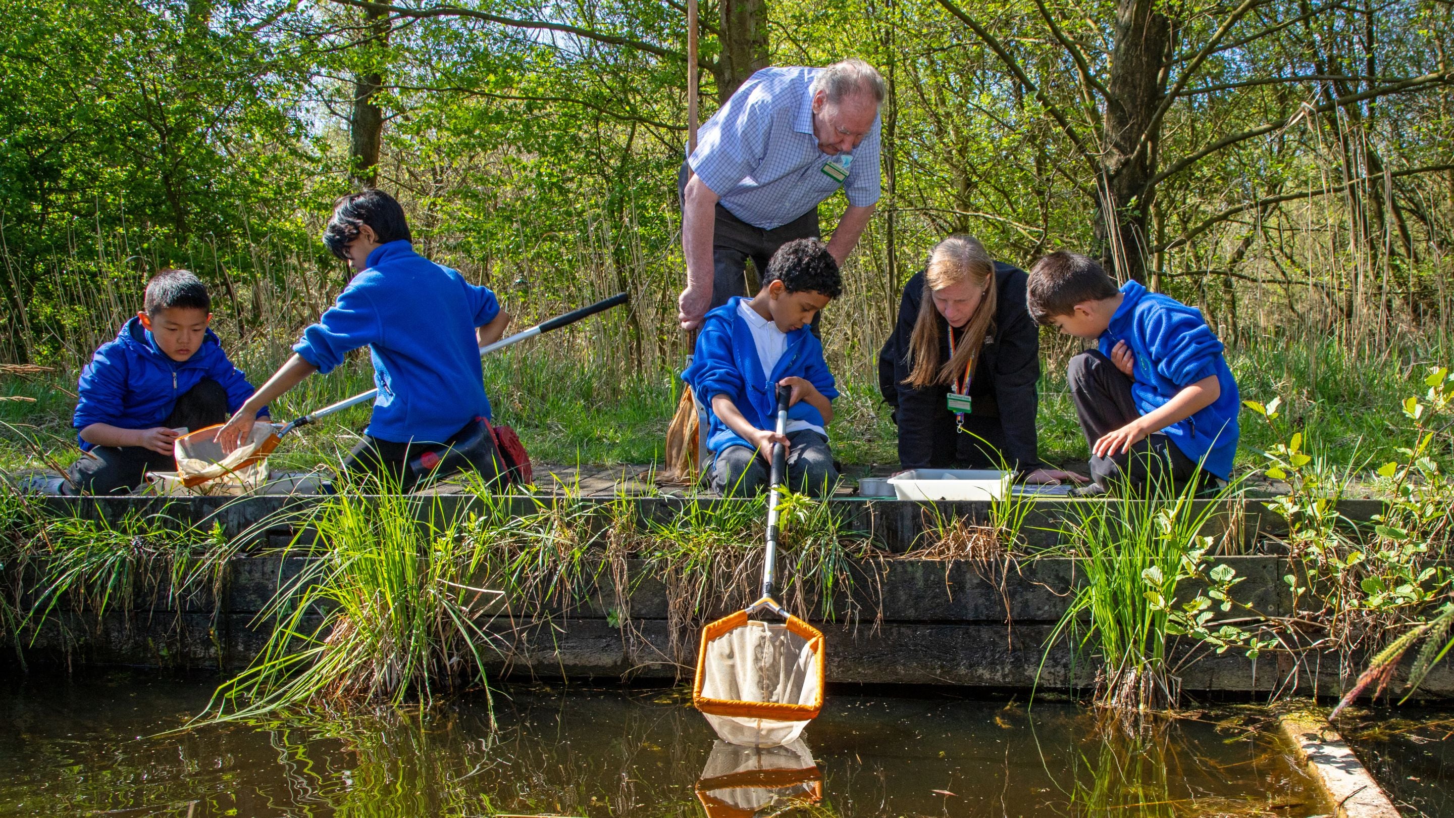 Wicken Fen National Nature Reserve | Cambs | National Trust