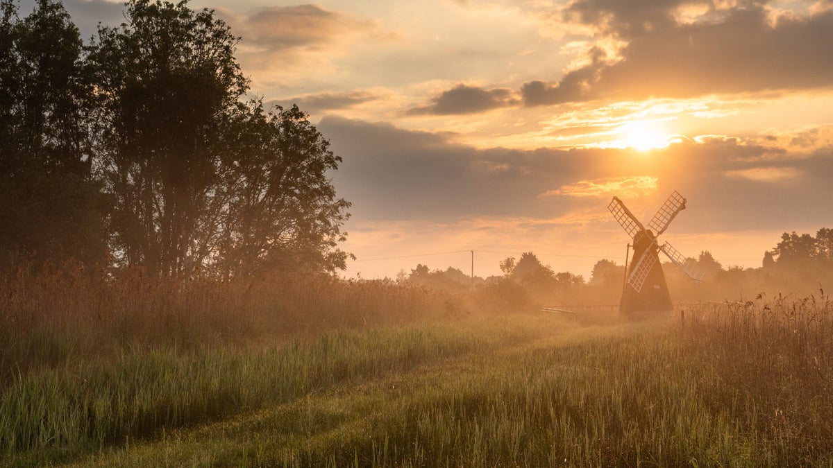 The history of Wicken Fen | Cambridgeshire | National Trust