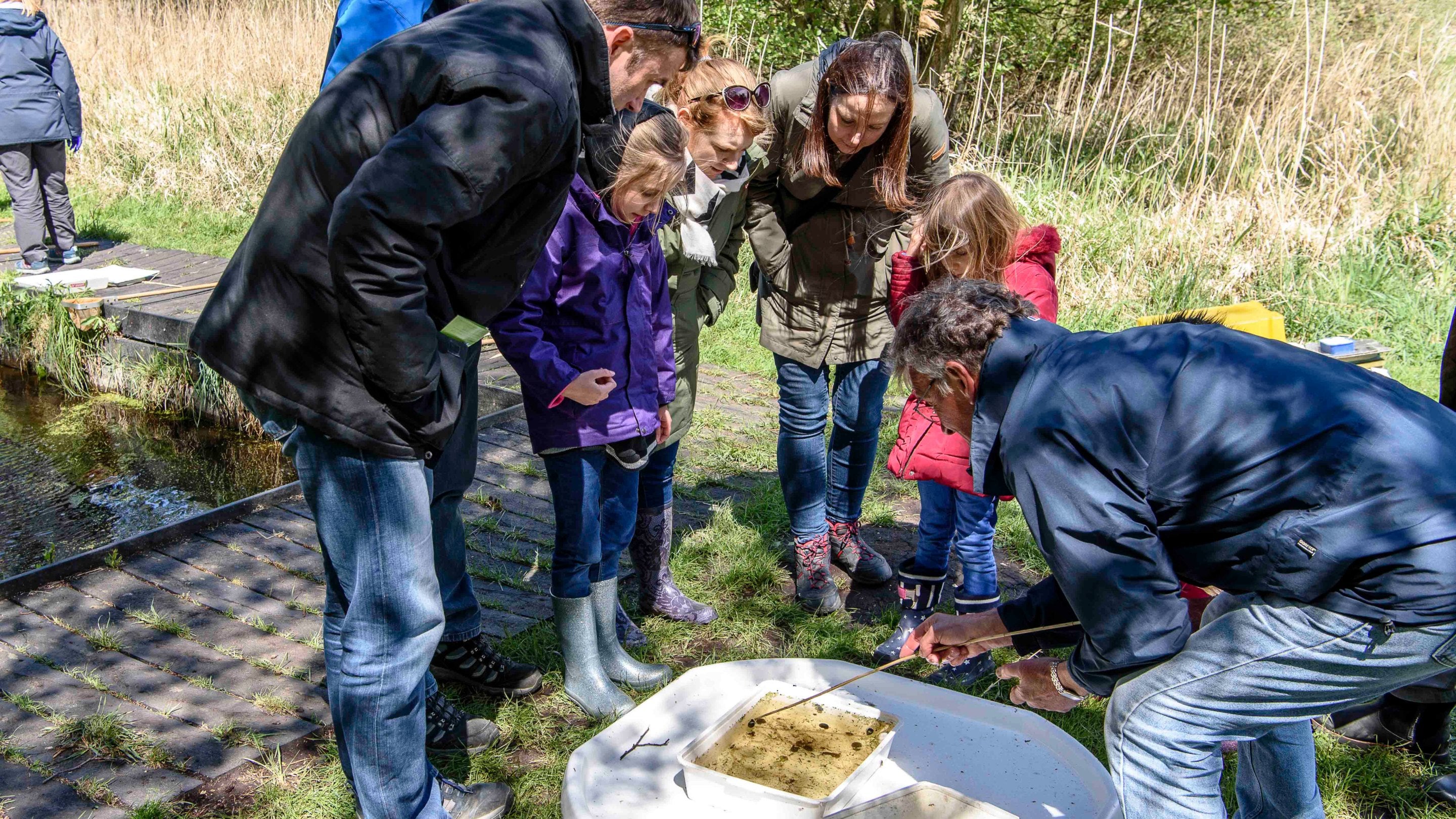 Wicken Fen National Nature Reserve | Cambs | National Trust