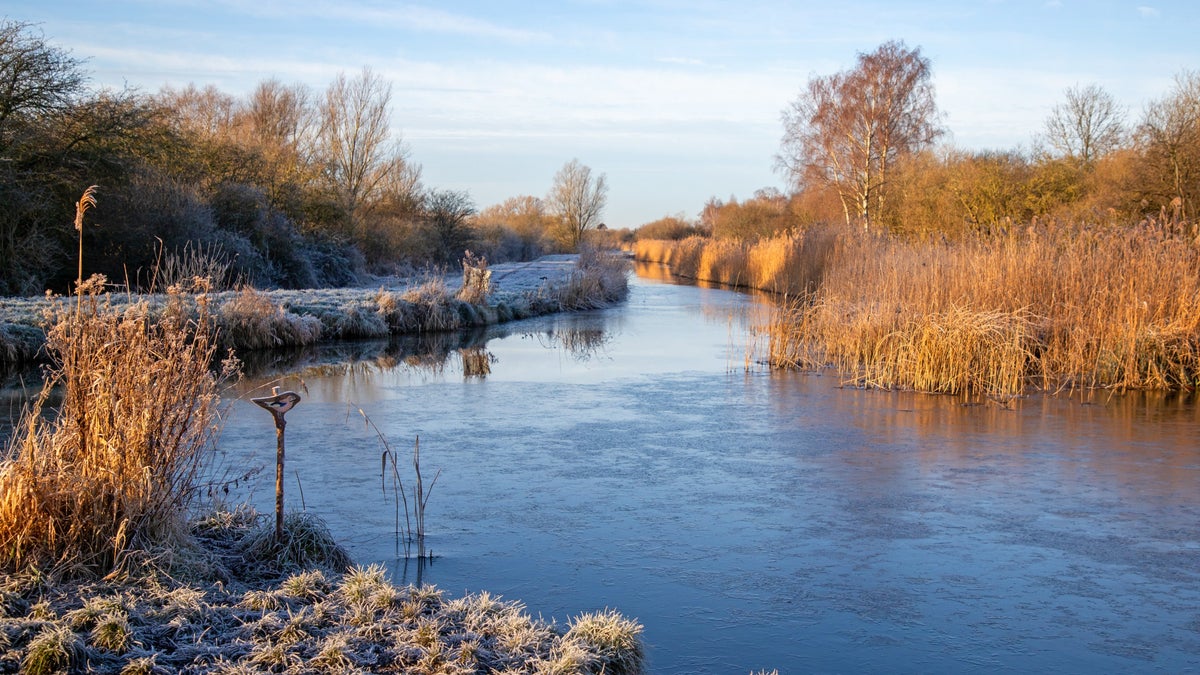 Four Lodes trail | Wicken Fen | National Trust