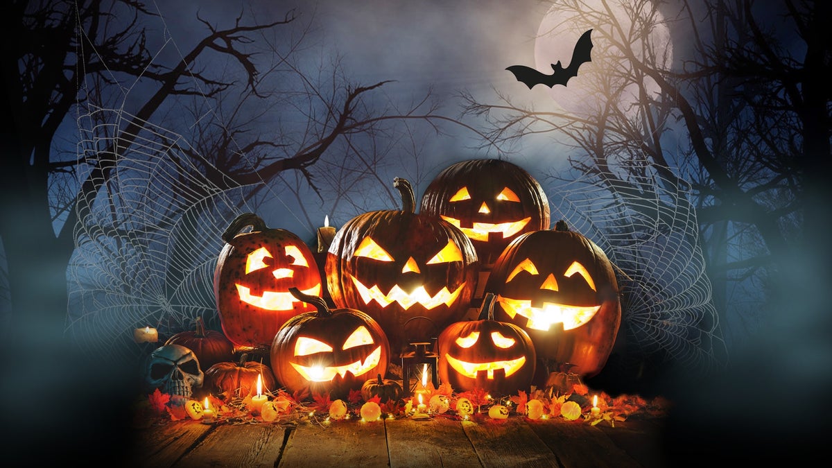 Halloween at Wimpole | Illuminated Trail | National Trust