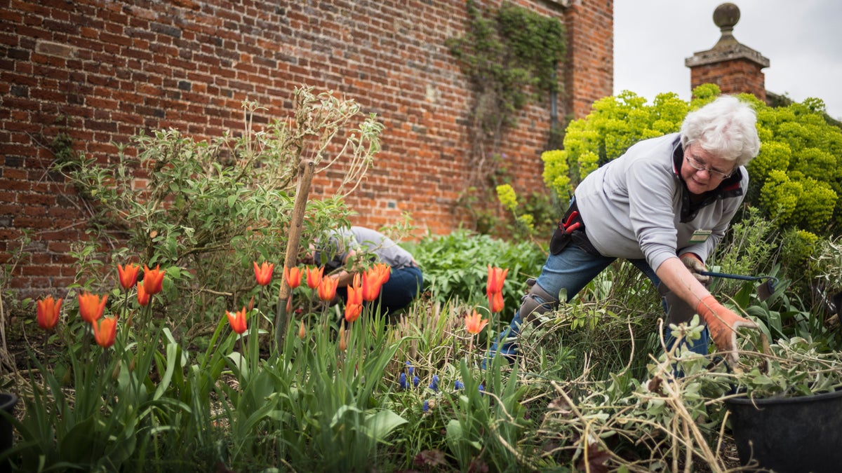 Gardening tips for spring | National Trust