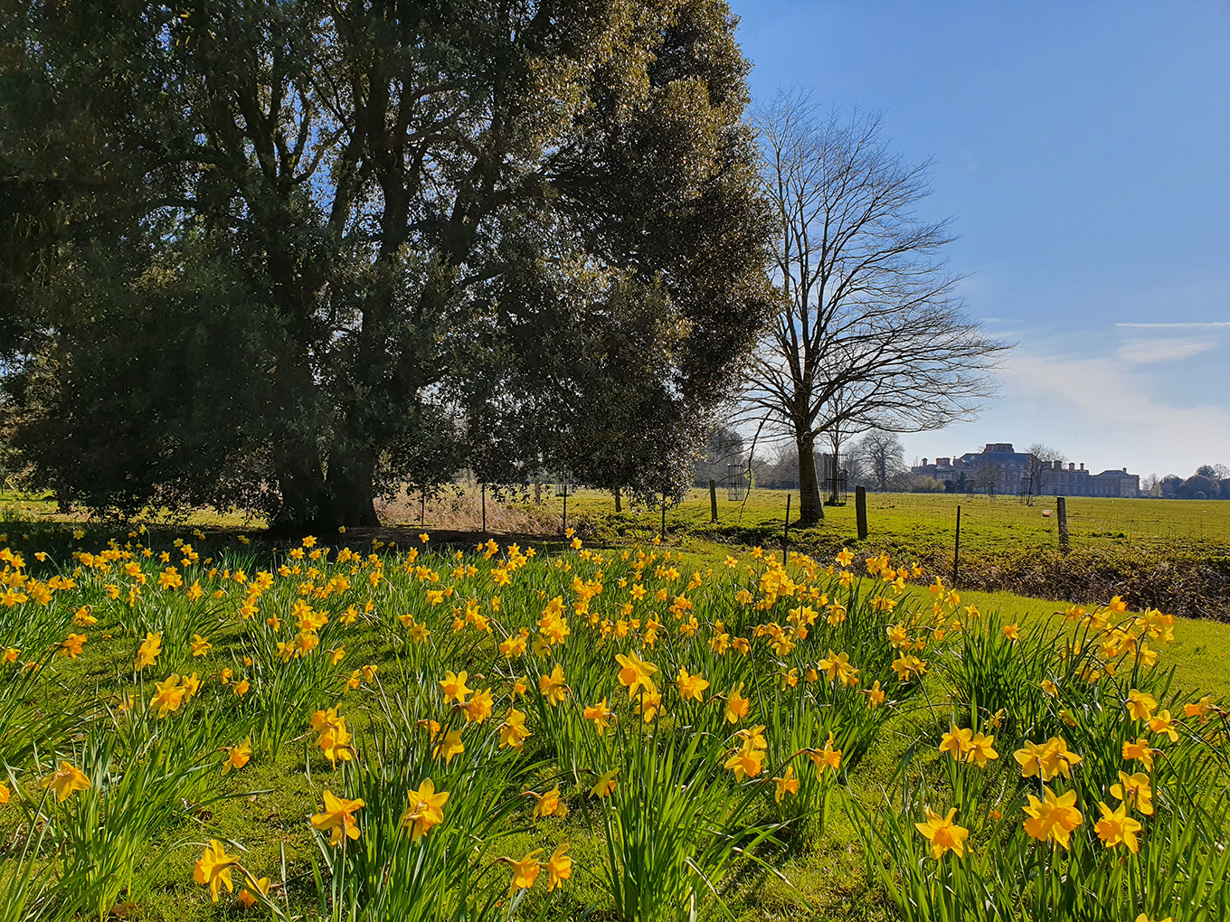 Visiting Wimpole Hall | Cambridgeshire | National Trust