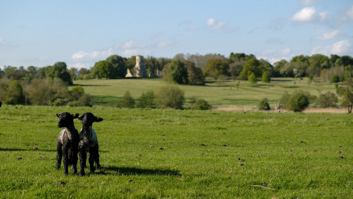 Wimpole Estate | Cambridgeshire | National Trust
