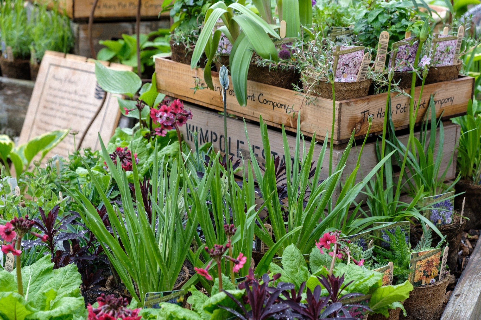 Visiting Wimpole Home Farm | Cambridgeshire | National Trust