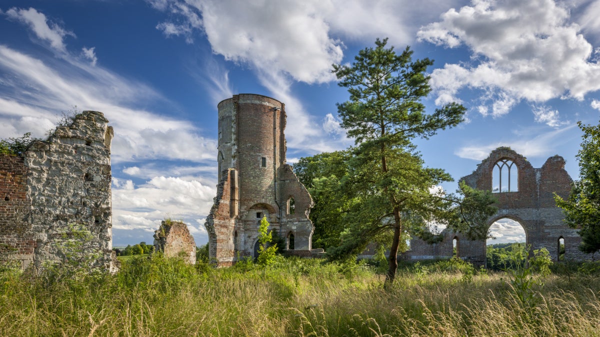 The parkland at Wimpole | Cambridgeshire | National Trust