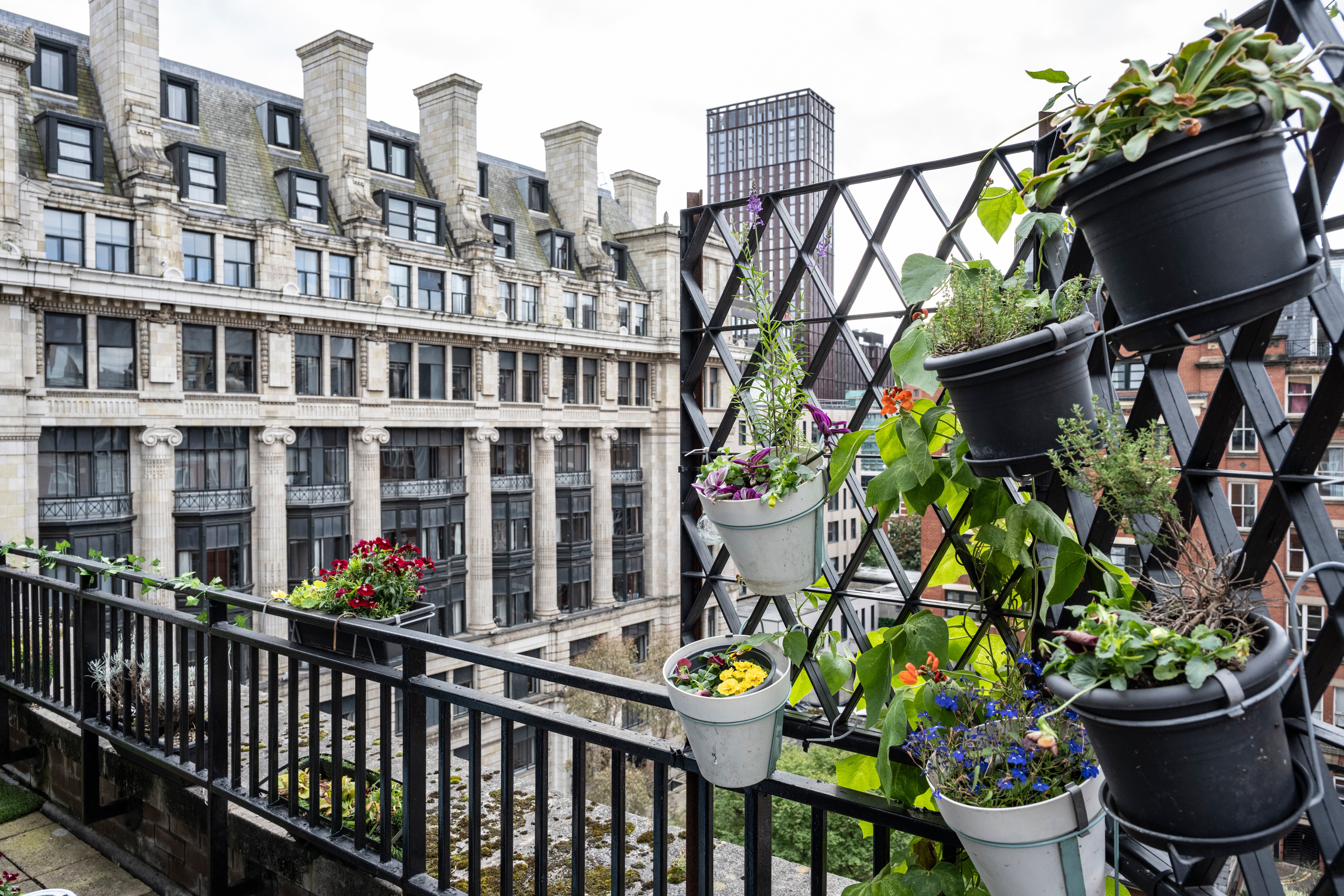 Balcony Garden Manchester