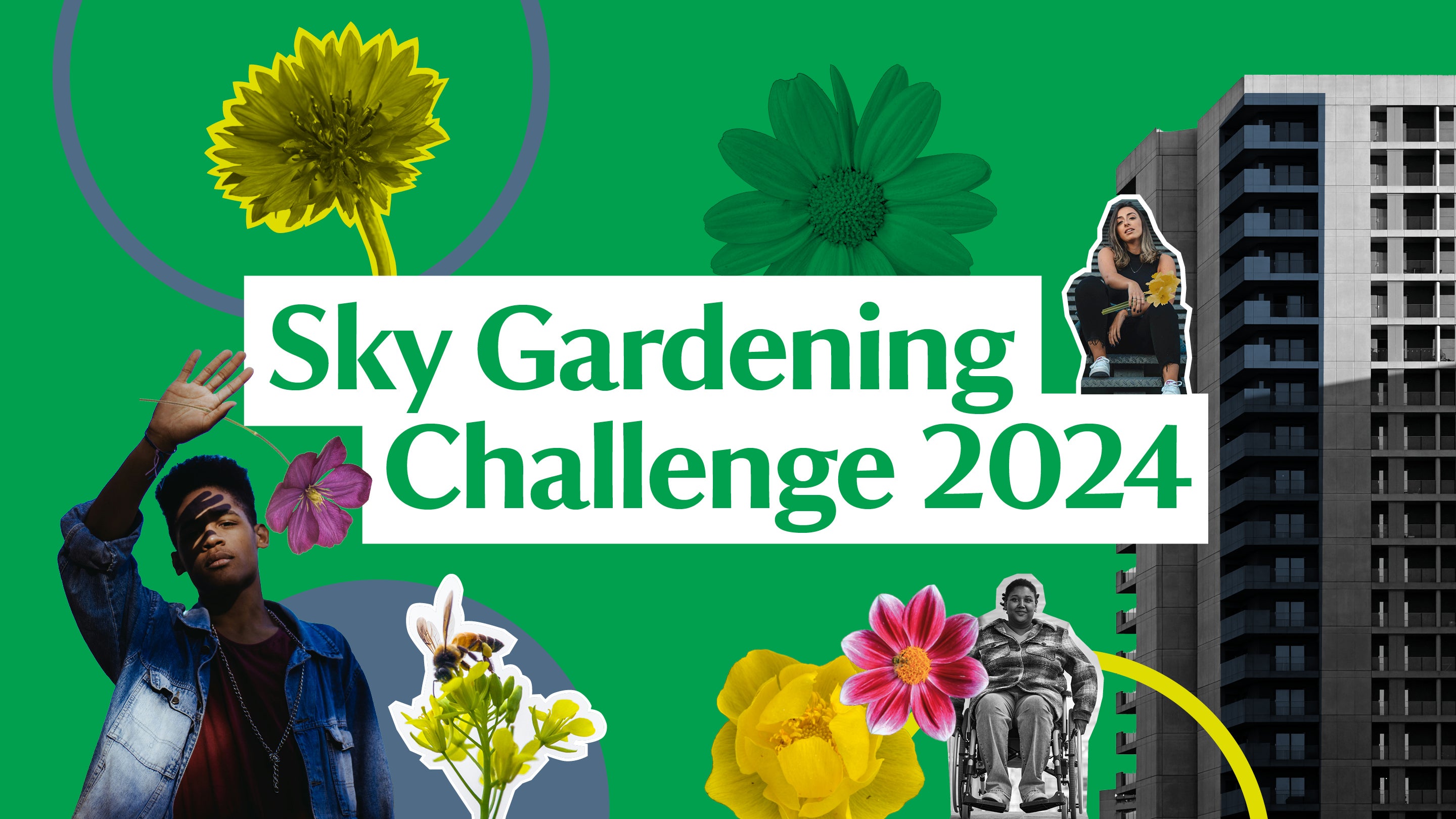 Sky Gardening Challenge | National Trust