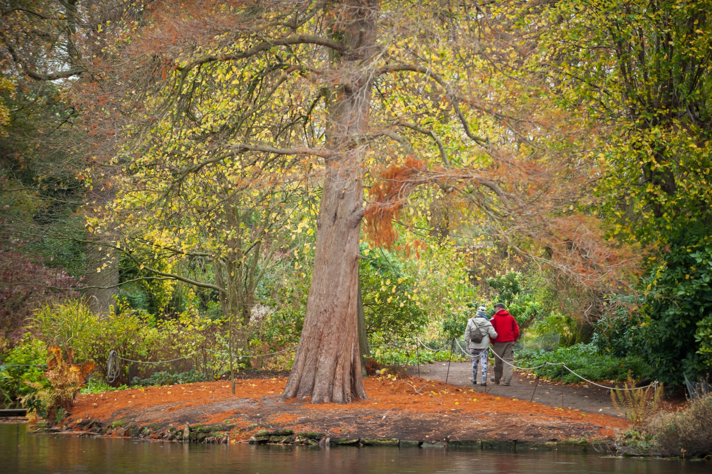 The house at Dunham Massey | G. Manchester | National Trust
