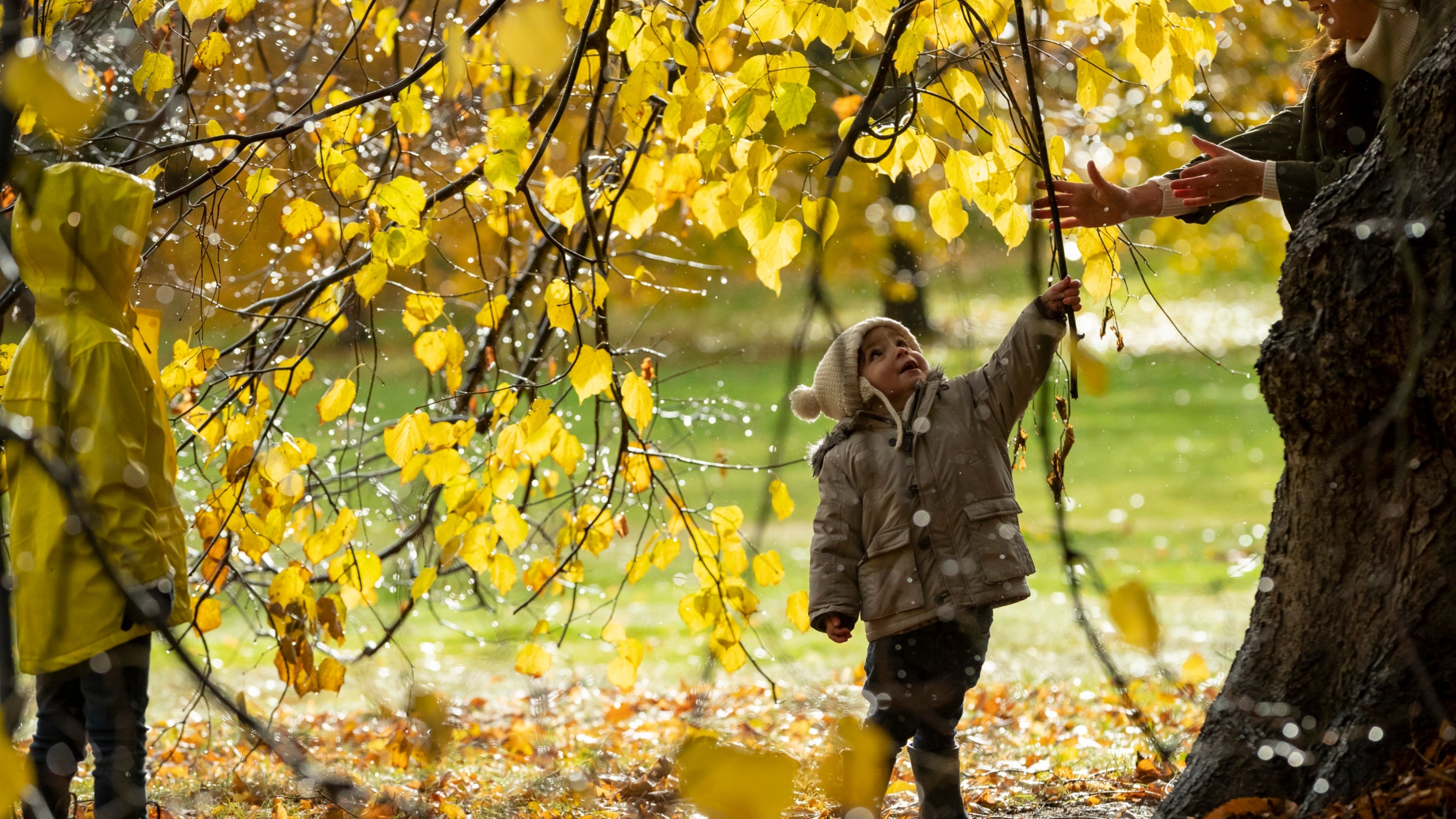 Family Days Out at Dunham Massey | National Trust