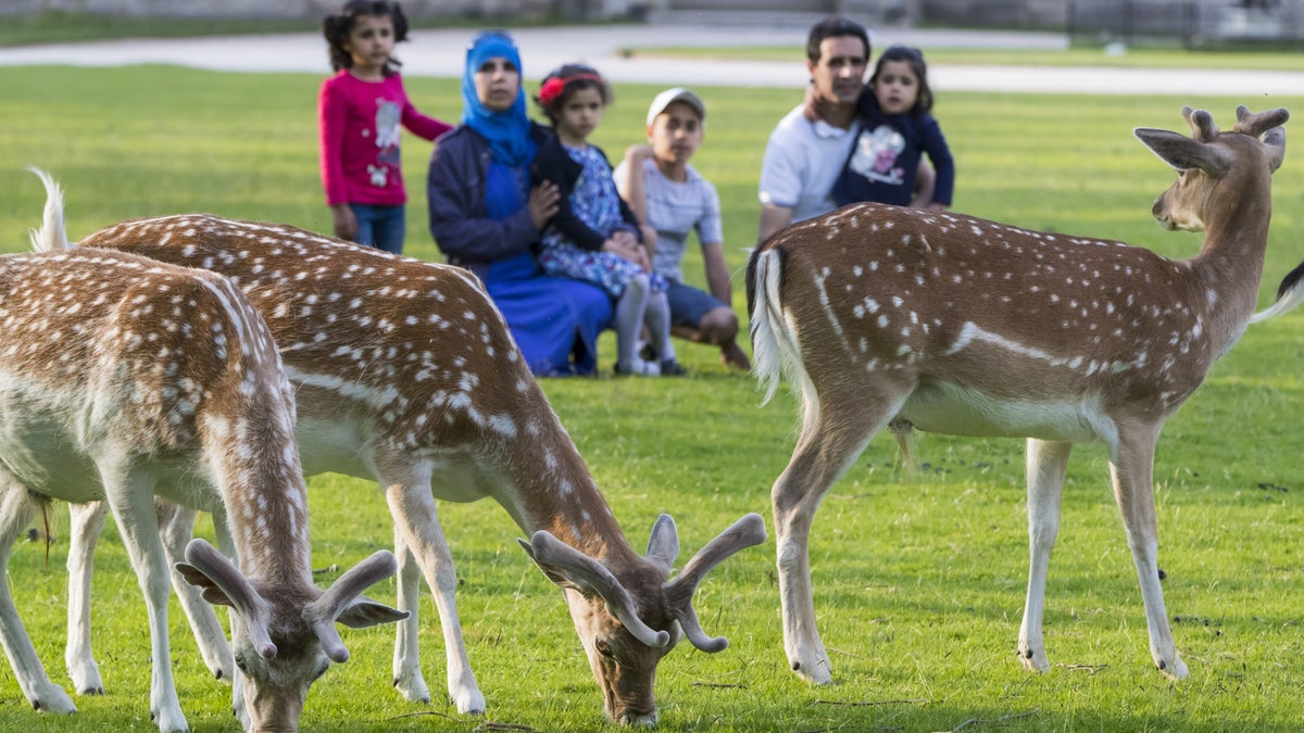 Family Days Out at Dunham Massey | National Trust
