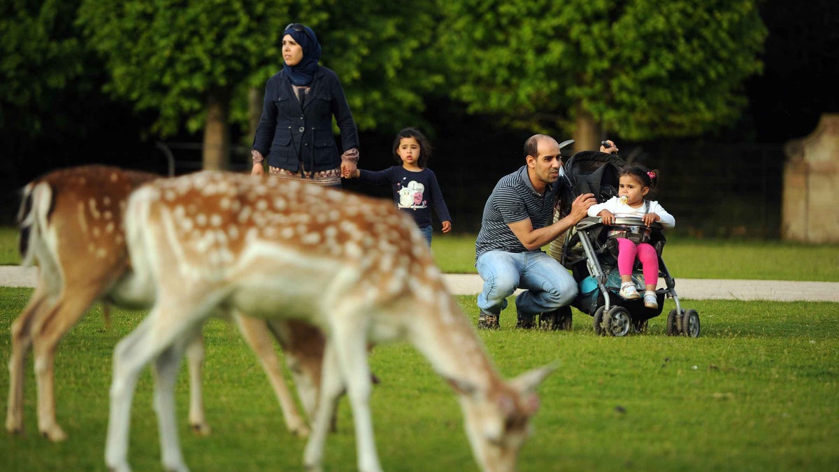Dunham Masseys Deer Park G Manchester National Trust