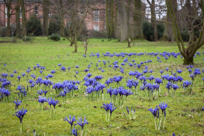 Dunham Massey’s garden | Greater Manchester | National Trust
