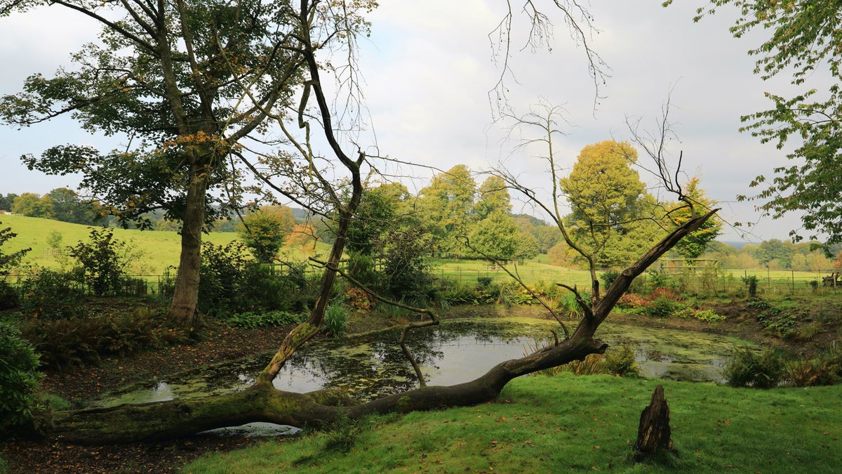 Hare Hill | Cheshire | National Trust