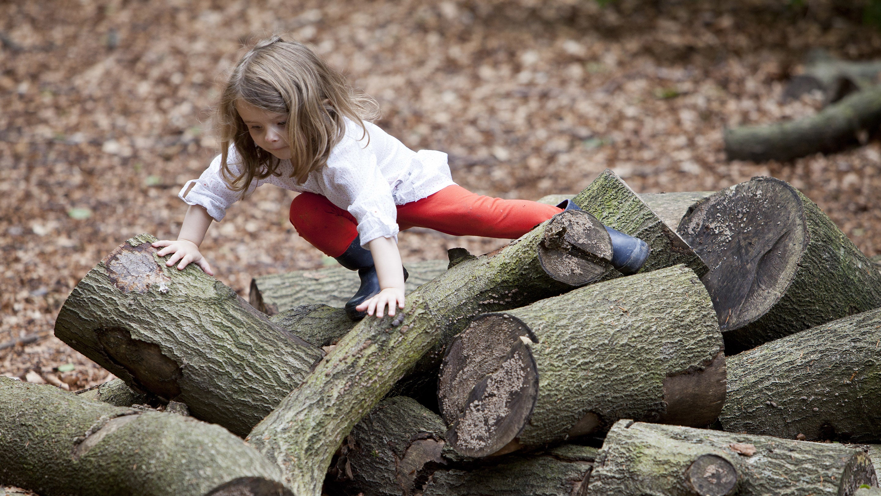 Family days out at Hare Hill │ Cheshire | National Trust