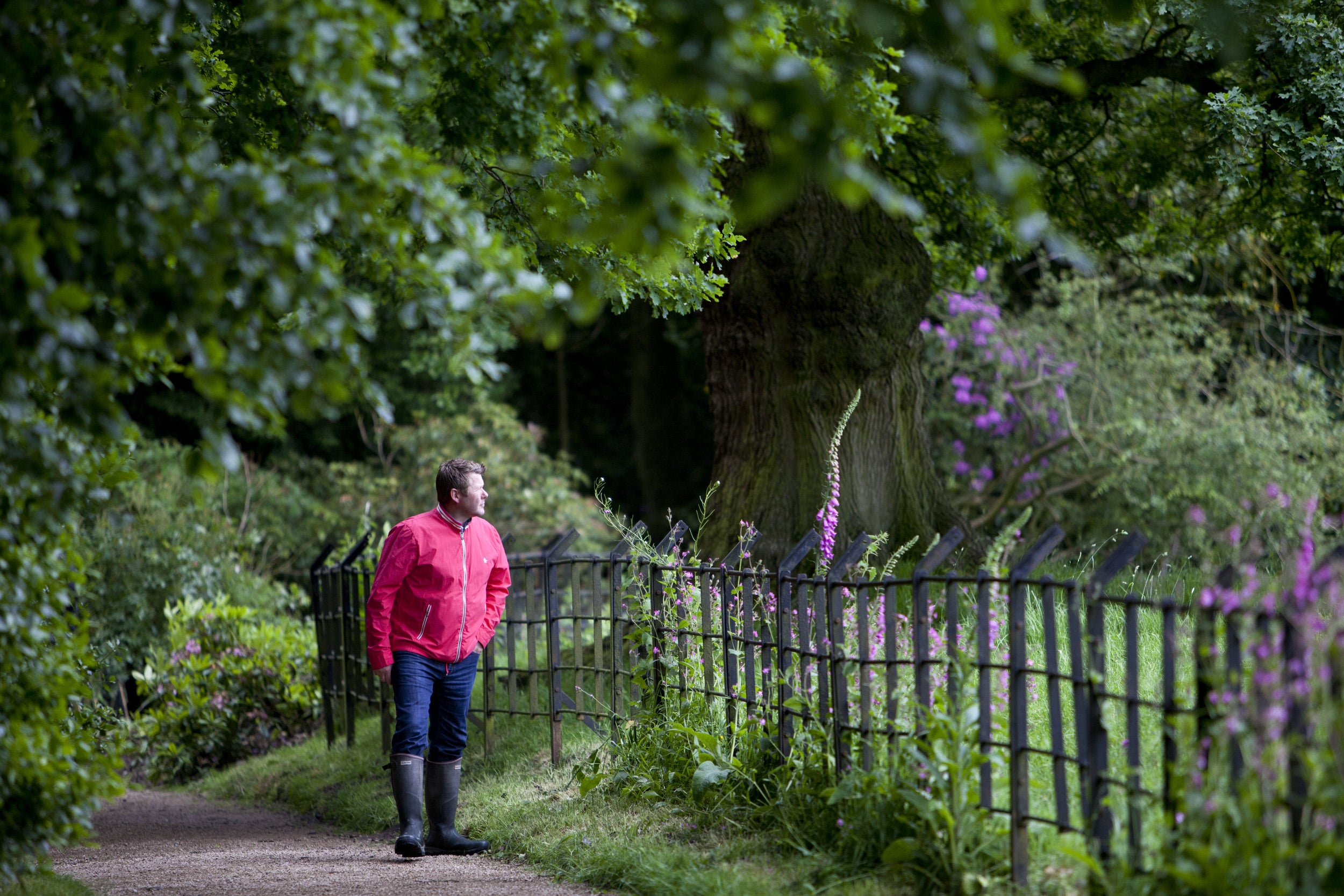 Things to see & do at Hare Hill │ Cheshire | National Trust