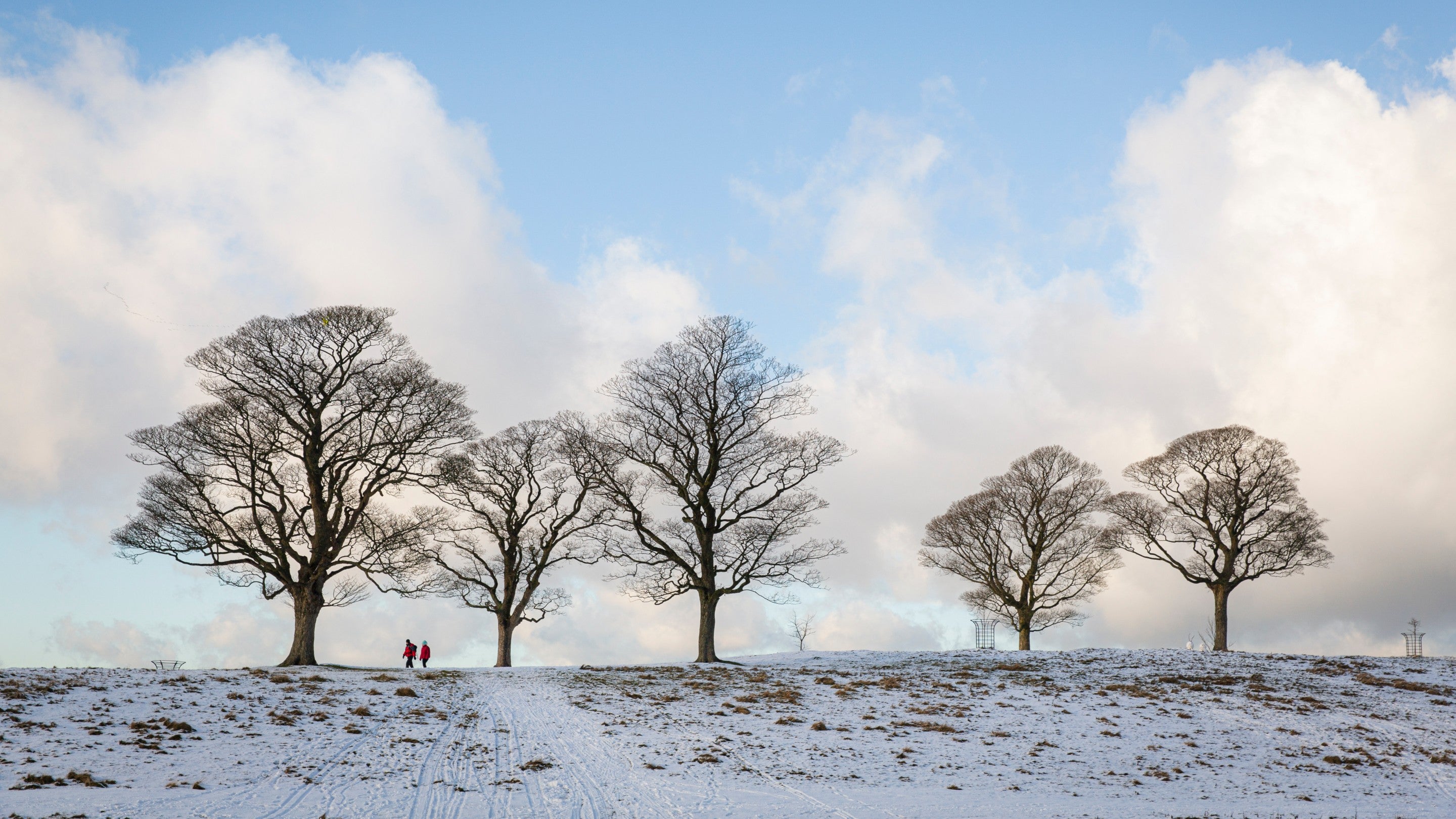 Countryside | Cheshire & Manchester | North | National Trust