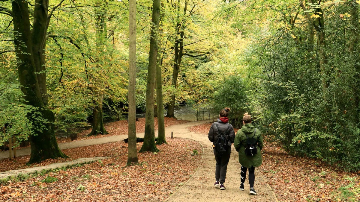 Walks at Quarry Bank Mill | Cheshire | National Trust