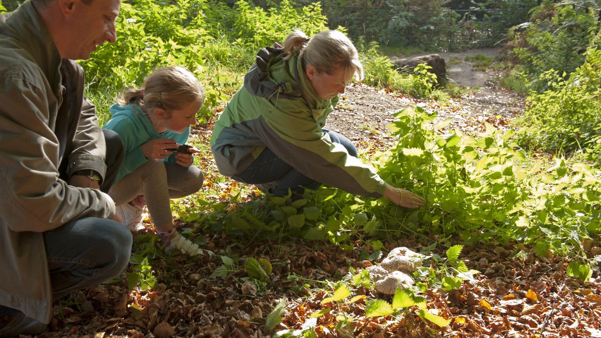 Group and educational visits to Quarry Bank | National Trust