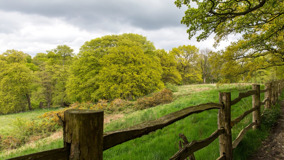 Quarry Bank | Giant's Castle Viewpoint | National Trust