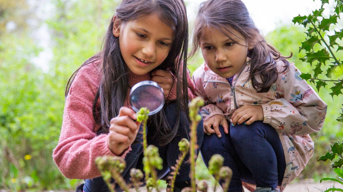 Look out for animal clues | 50 things to do | National Trust