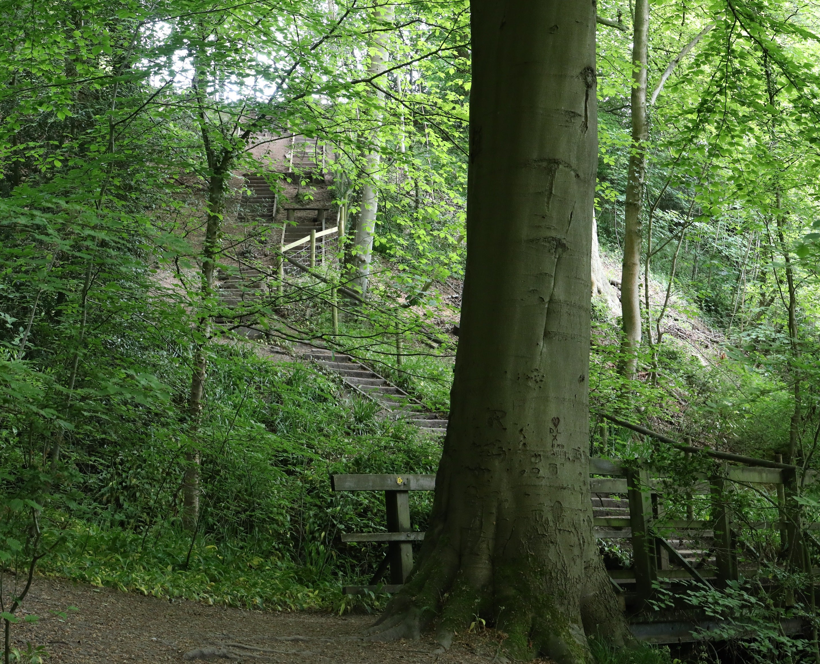 Quarry Bank | Cheshire | National Trust