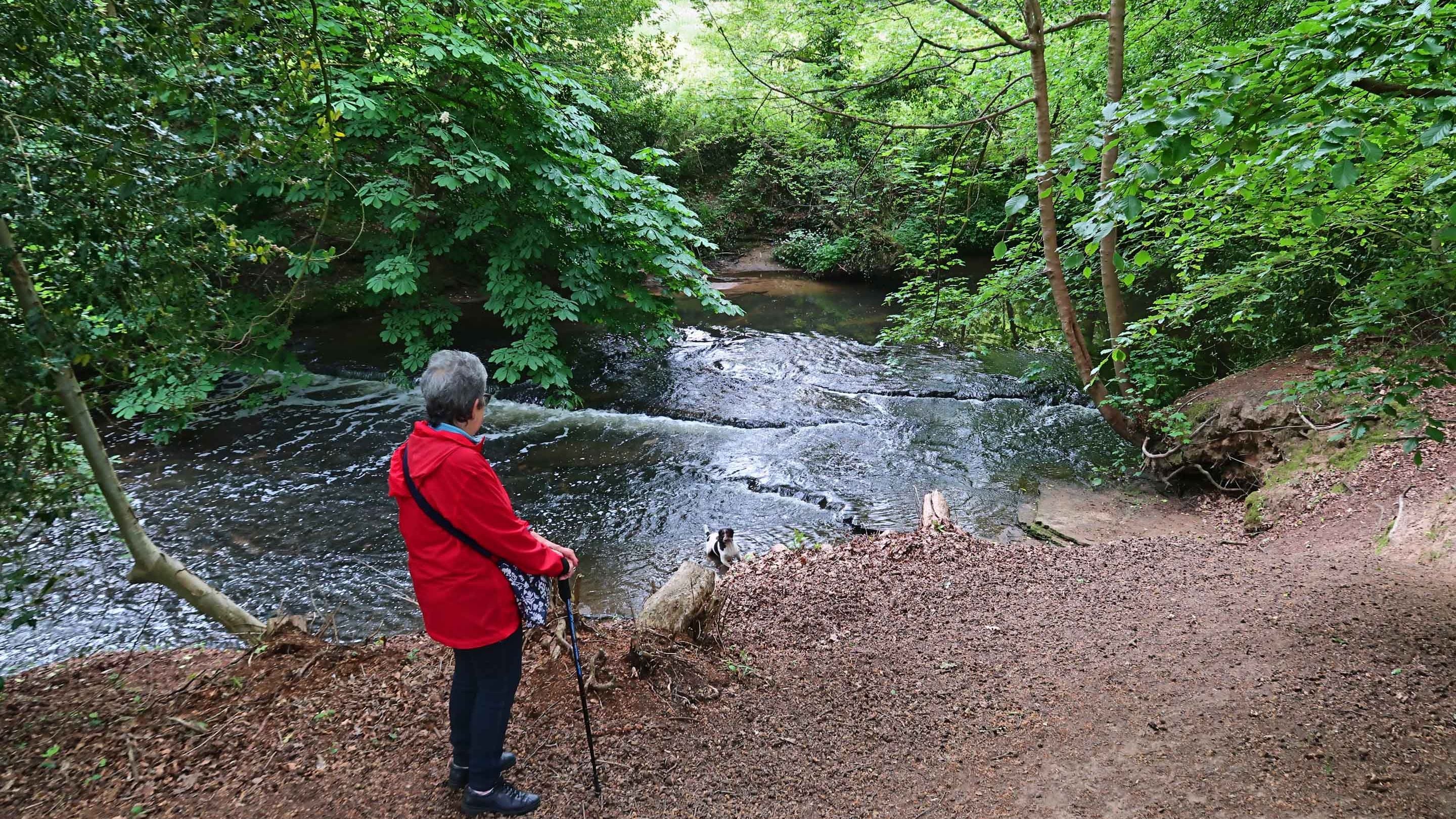 Walking in Cheshire and Greater Manchester | National Trust
