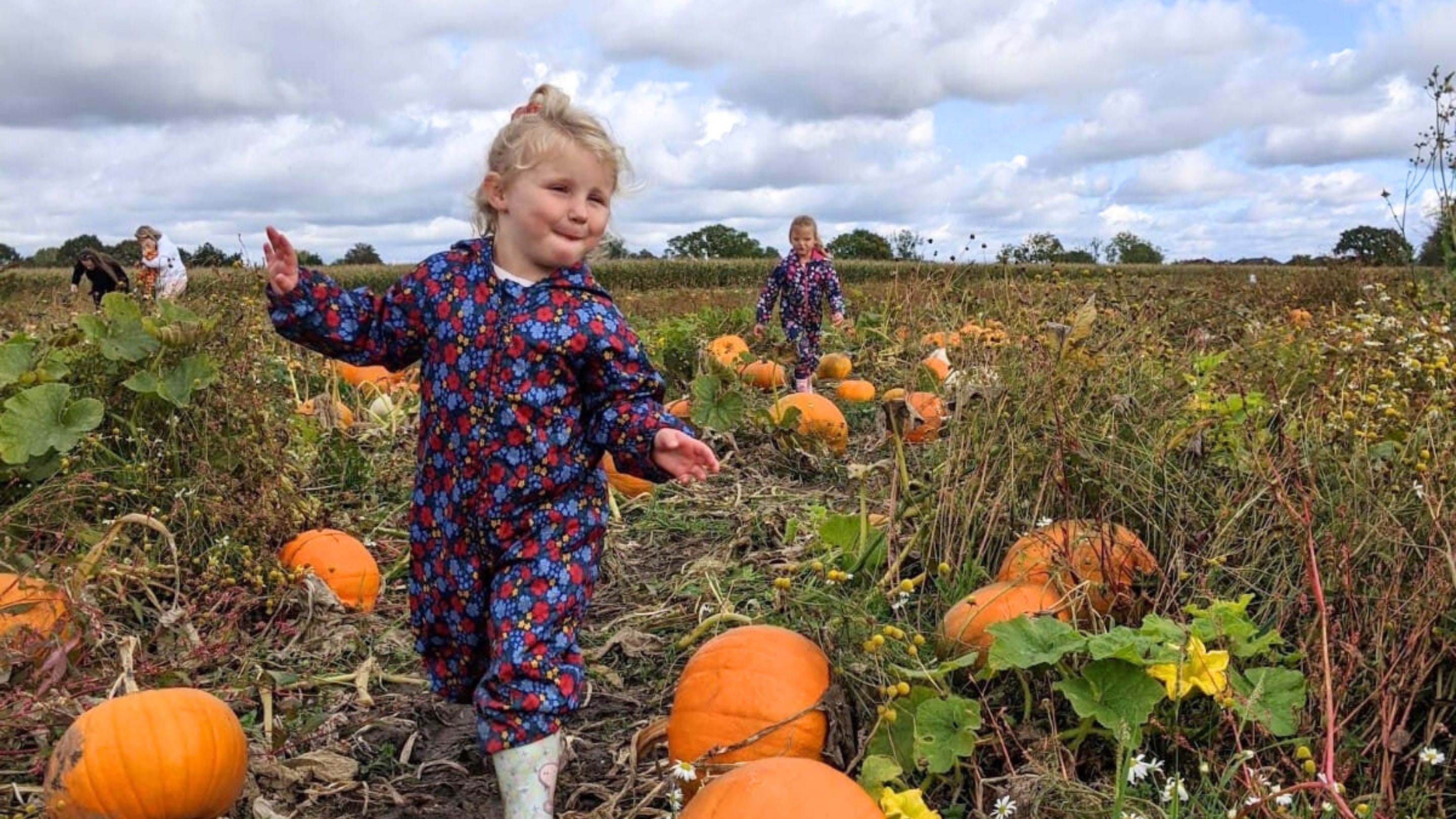 Family days out | Tatton Park | Cheshire | National Trust