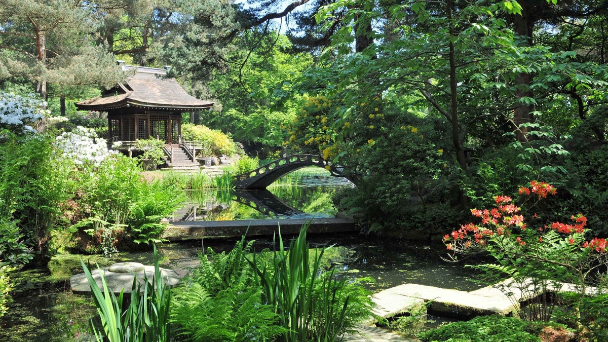 Visiting Tatton Park's garden │ Cheshire | National Trust