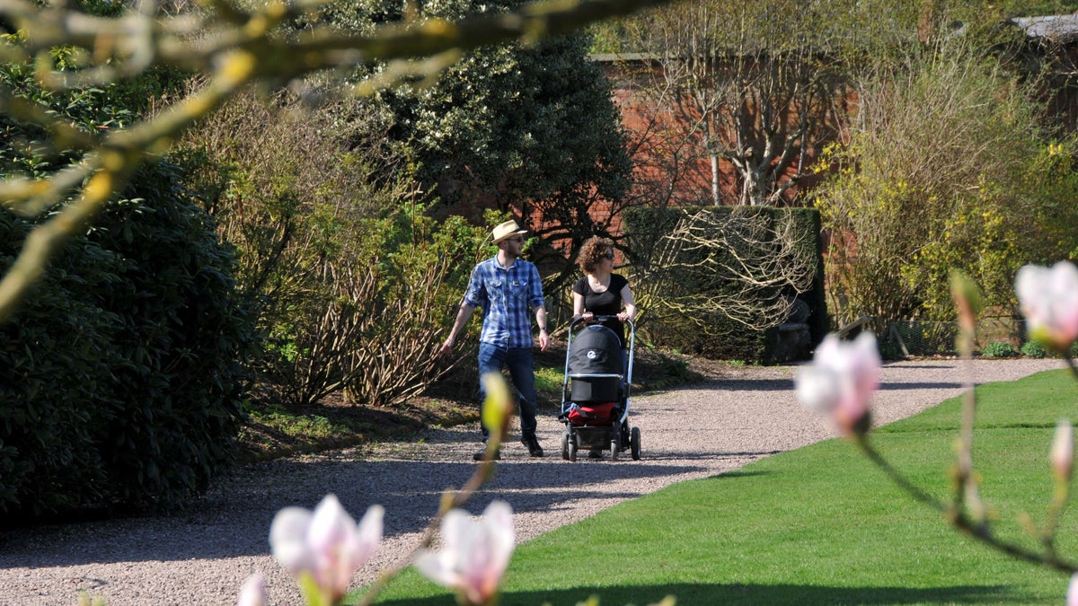 Family days out | Tatton Park | Cheshire | National Trust
