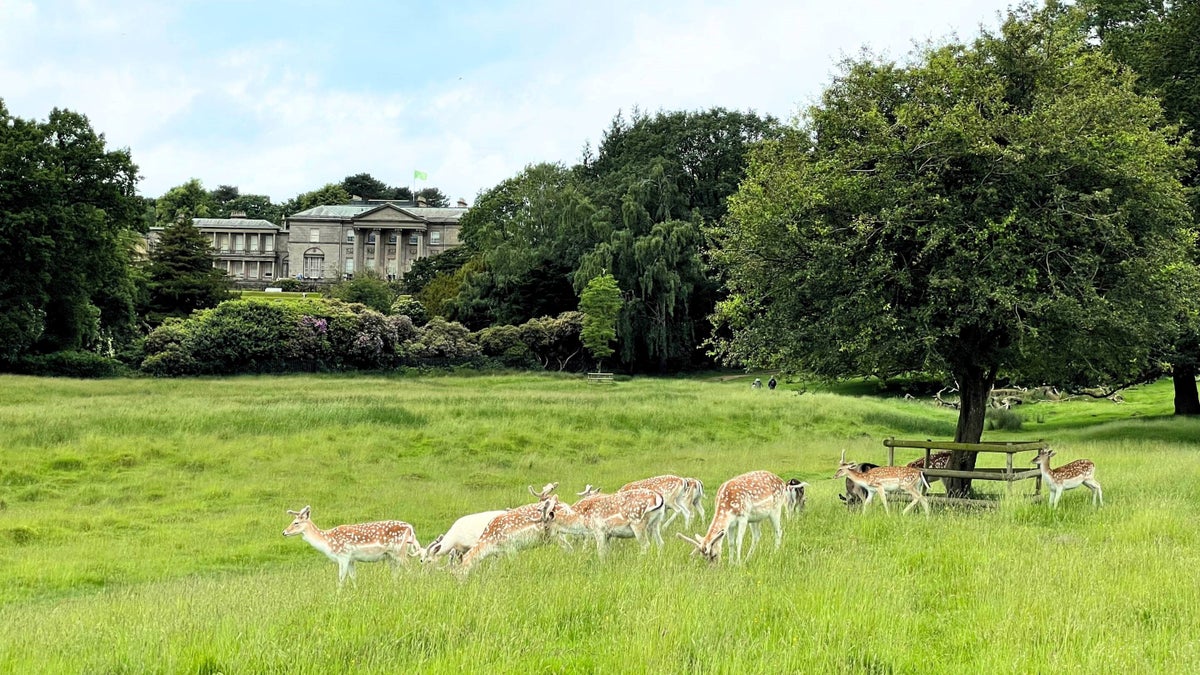 Visiting Tatton Park's estate │Cheshire | National Trust