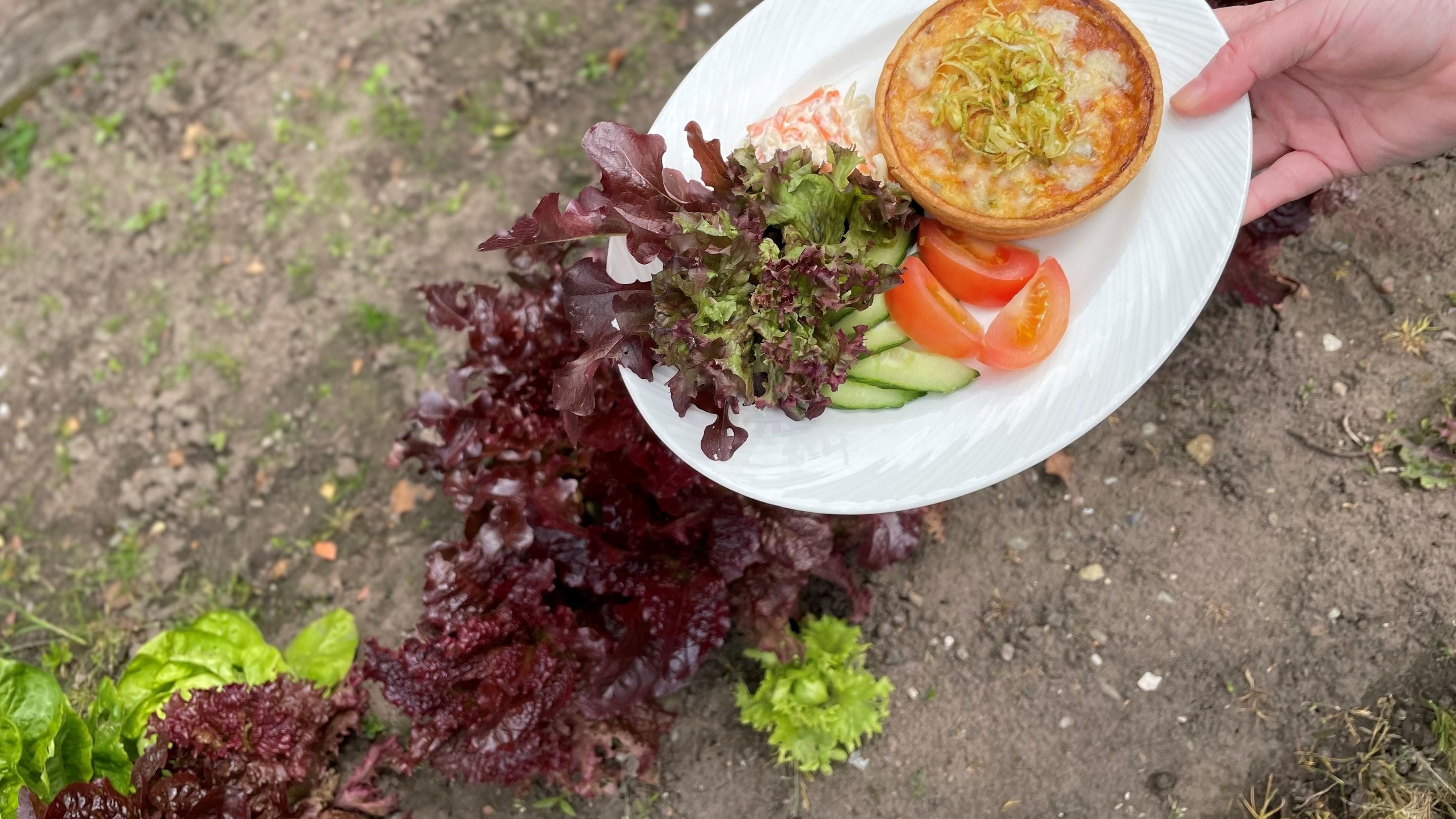 Visiting Tatton Park's farm │Cheshire | National Trust