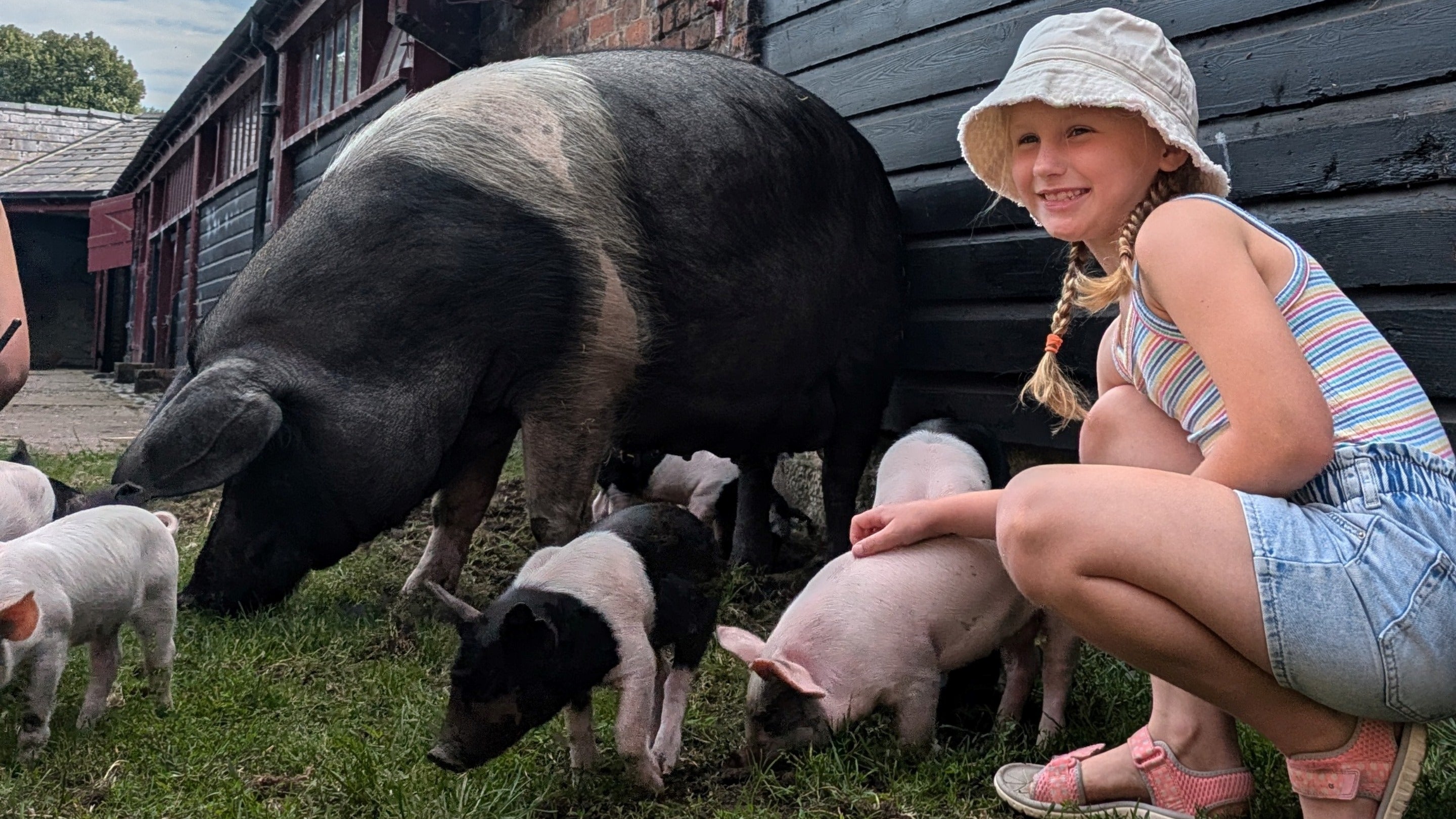 Visiting Tatton Park's garden │ Cheshire | National Trust