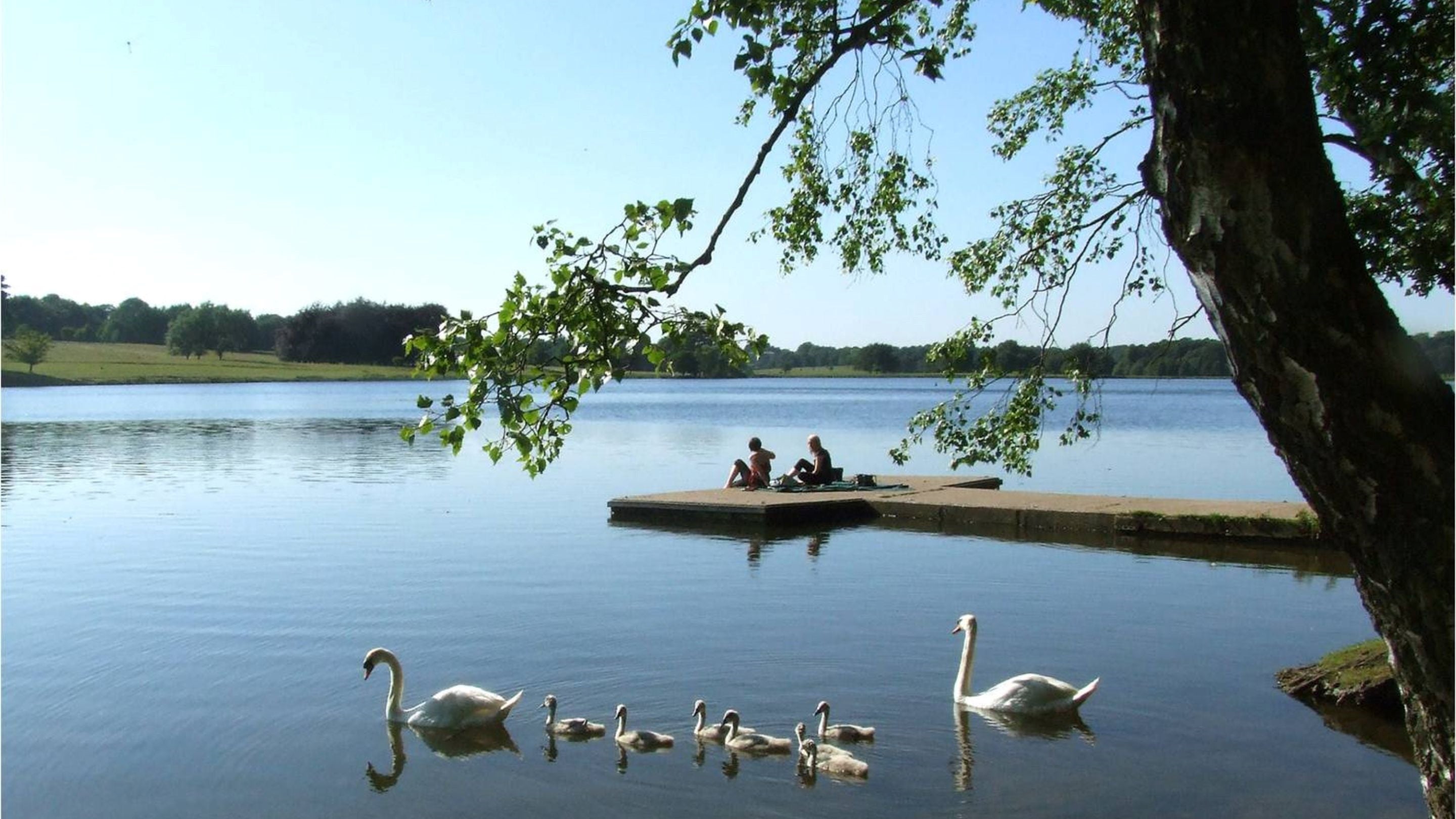 Tatton Park | Cheshire | National Trust