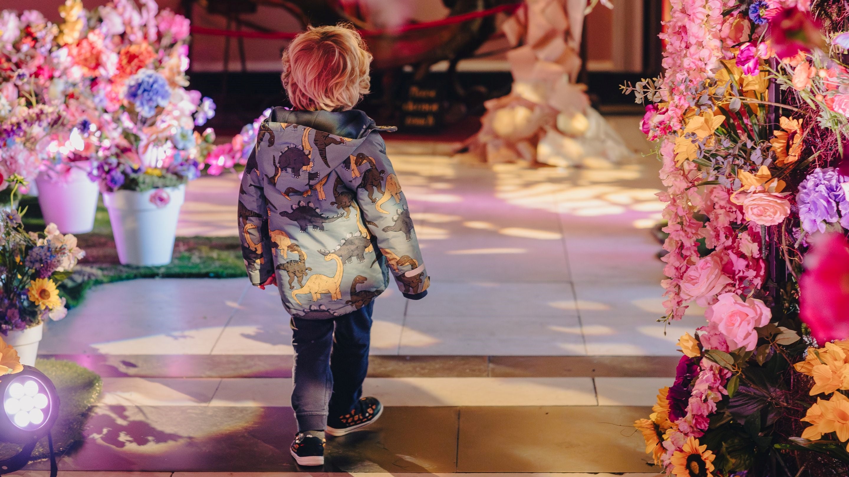 Christmas at Tatton Park | National Trust