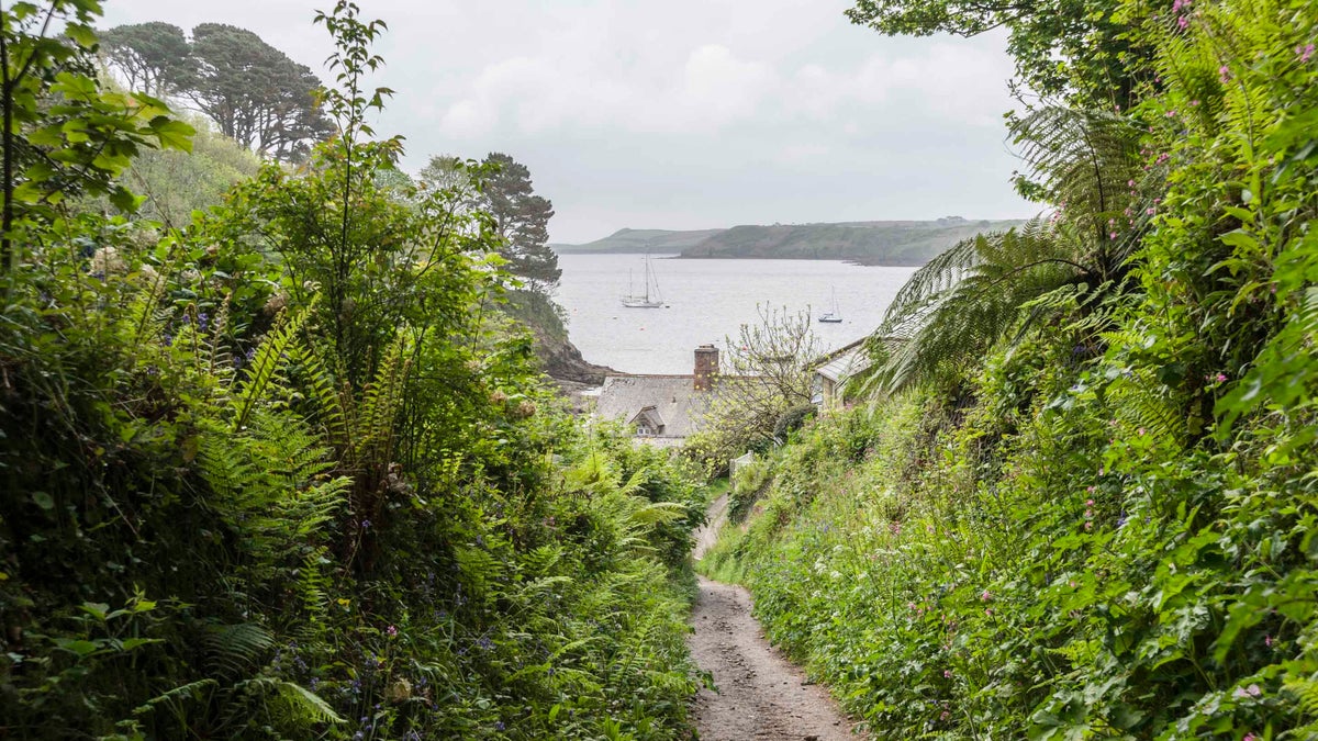 Our work at Bosveal | Cornwall | National Trust