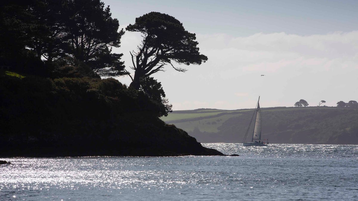 Sailing on the Helford River │ Cornwall | National Trust