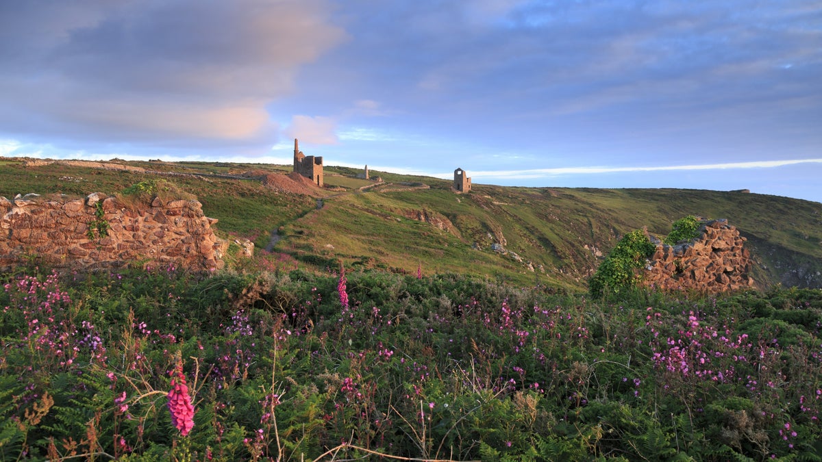 Tin Coast Cycle Trail | Cornwall | National Trust