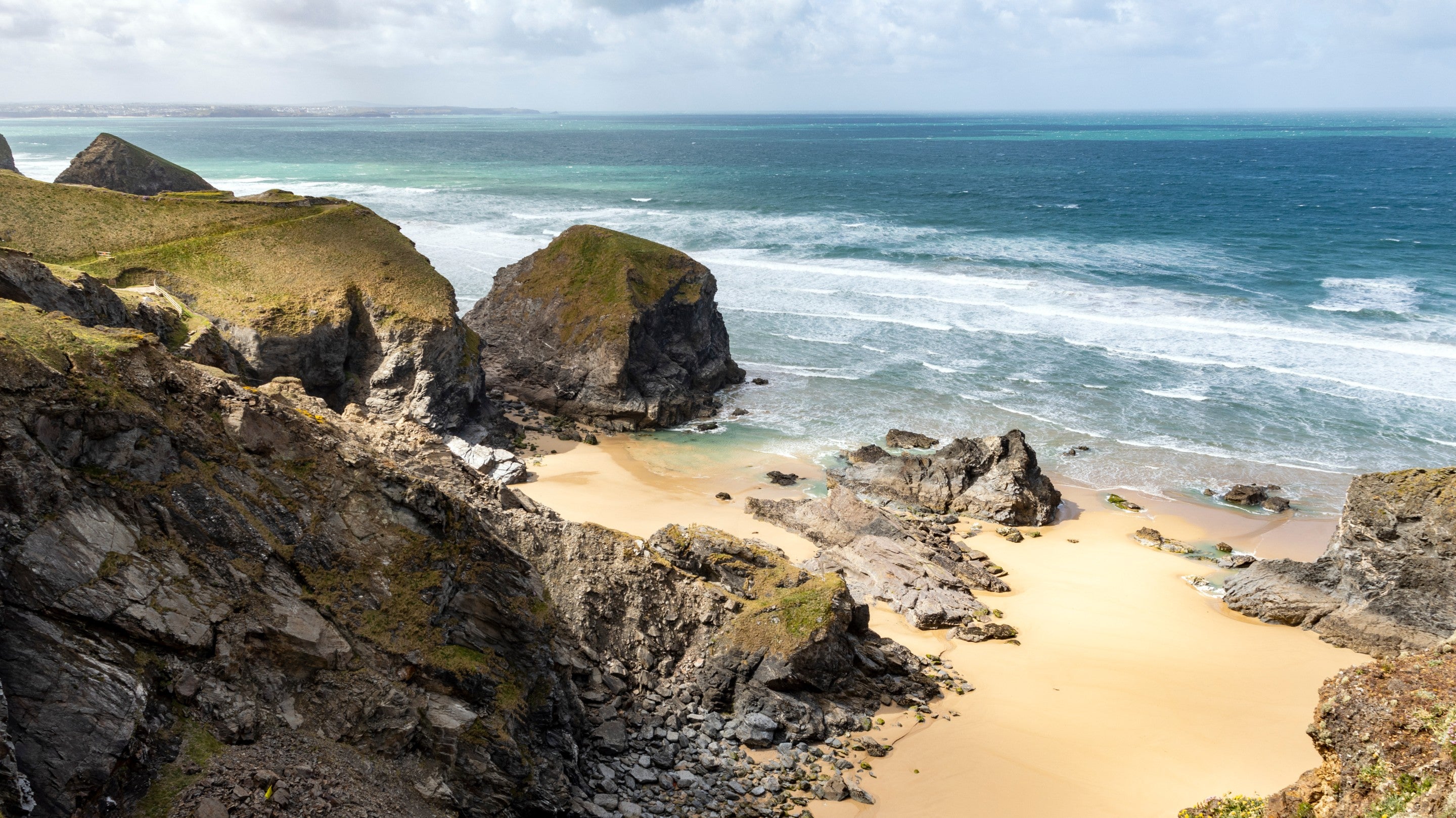 Common fossils to find | Coast | National Trust
