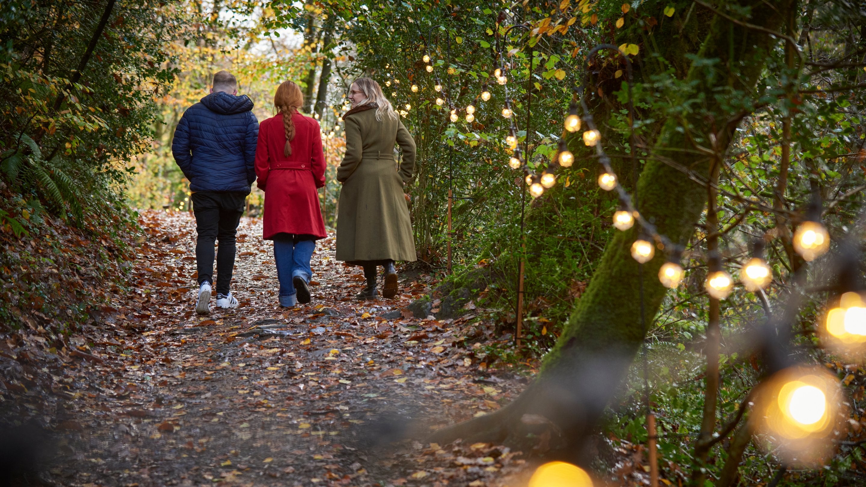 Christmas at Cotehele | Cornwall | National Trust