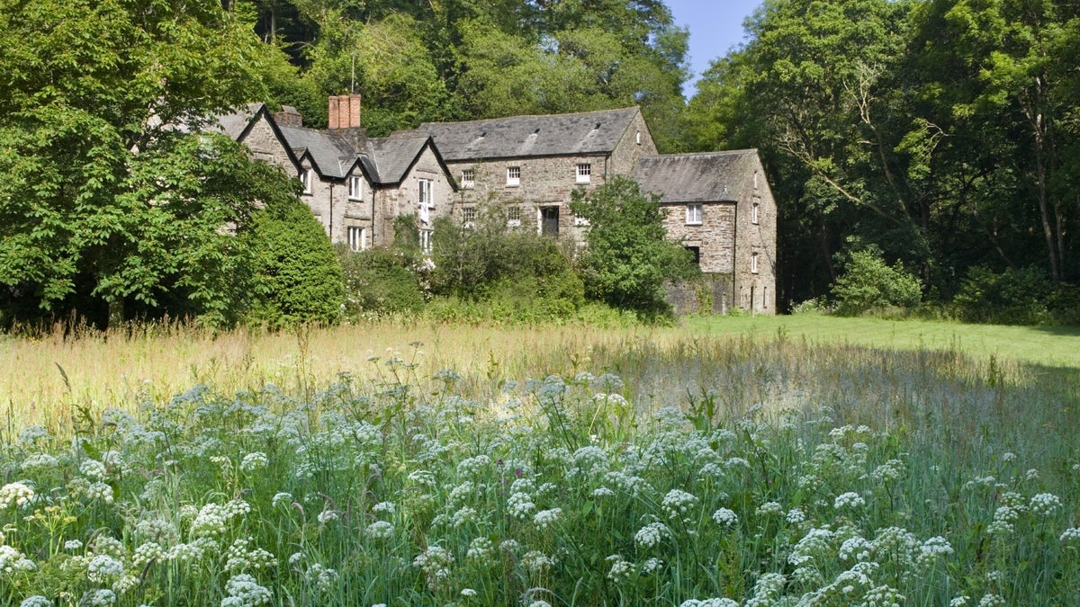 Cotehele and Bohetherick Woodland Walk | National Trust