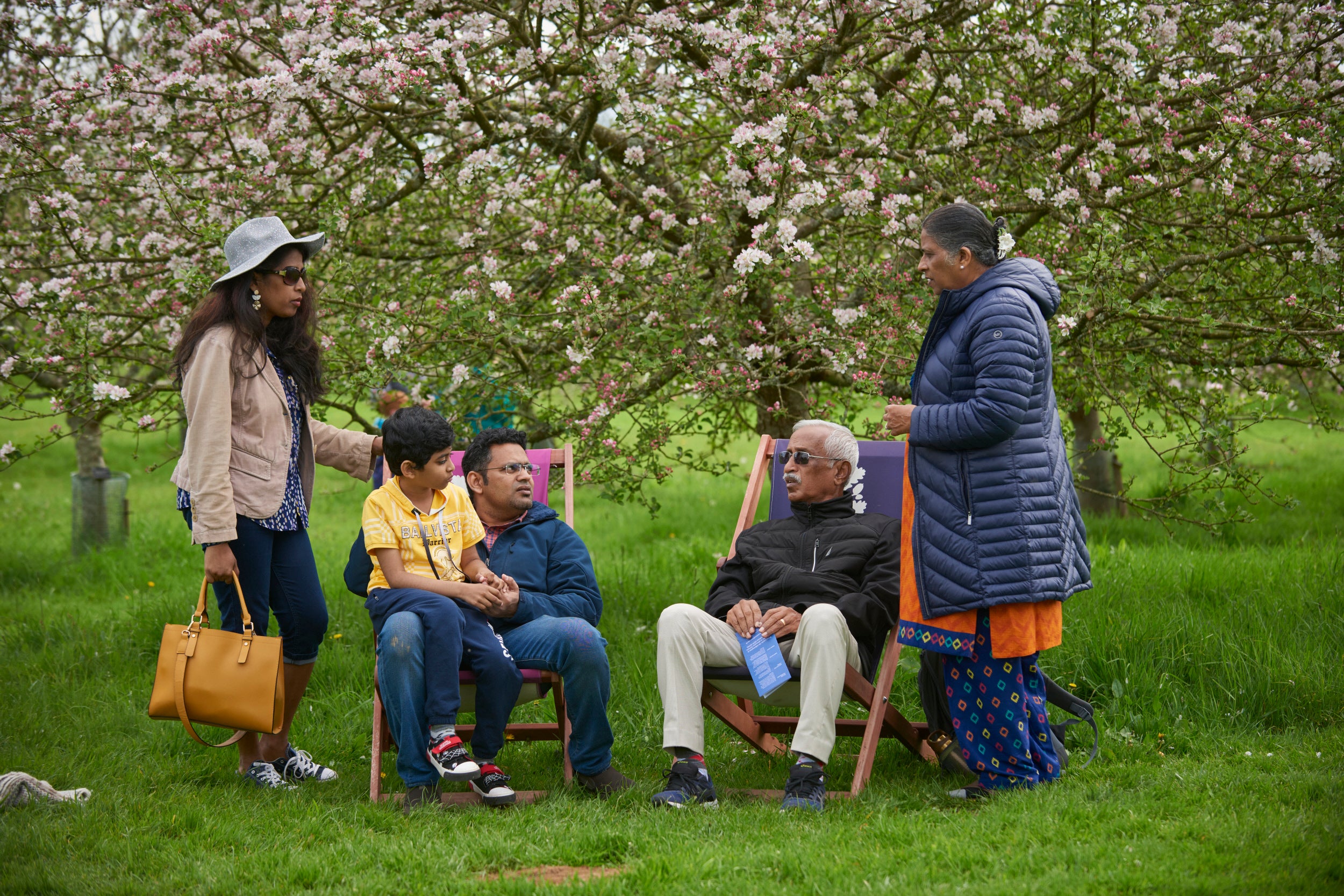 Cotehele Festival of Blossom | National Trust
