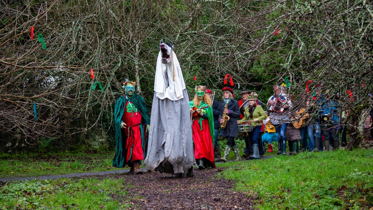 Wassailing events | National Trust