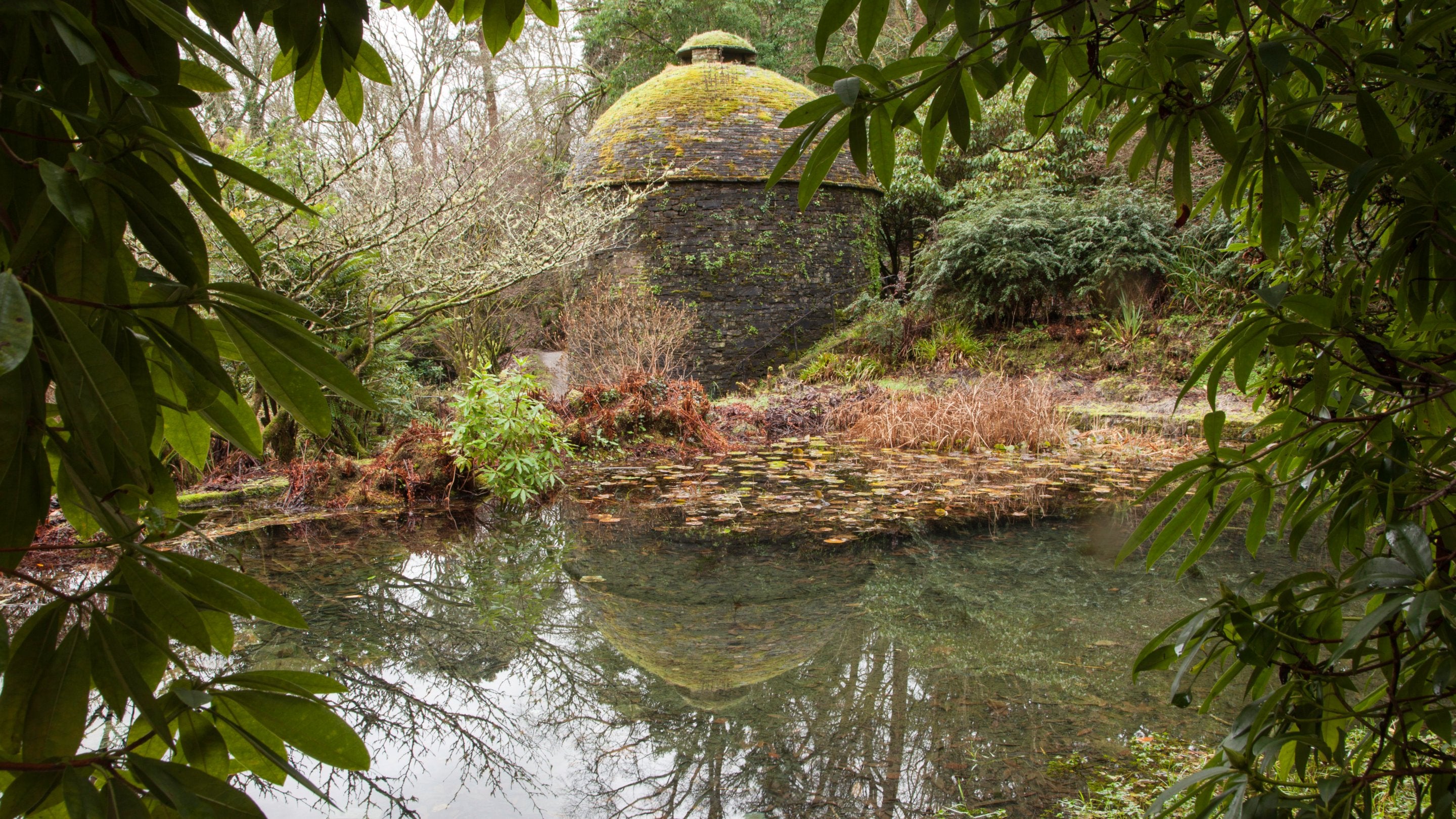 Visiting Cotehele's garden | Cornwall | National Trust