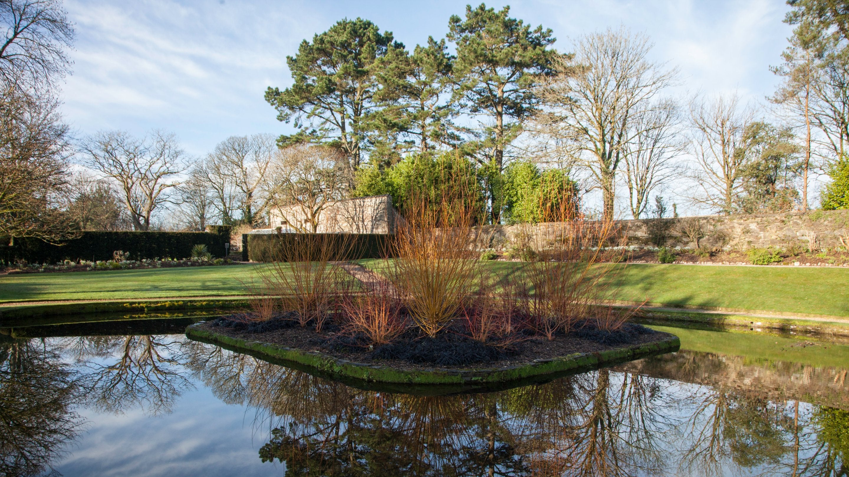 Visiting Cotehele's garden | Cornwall | National Trust