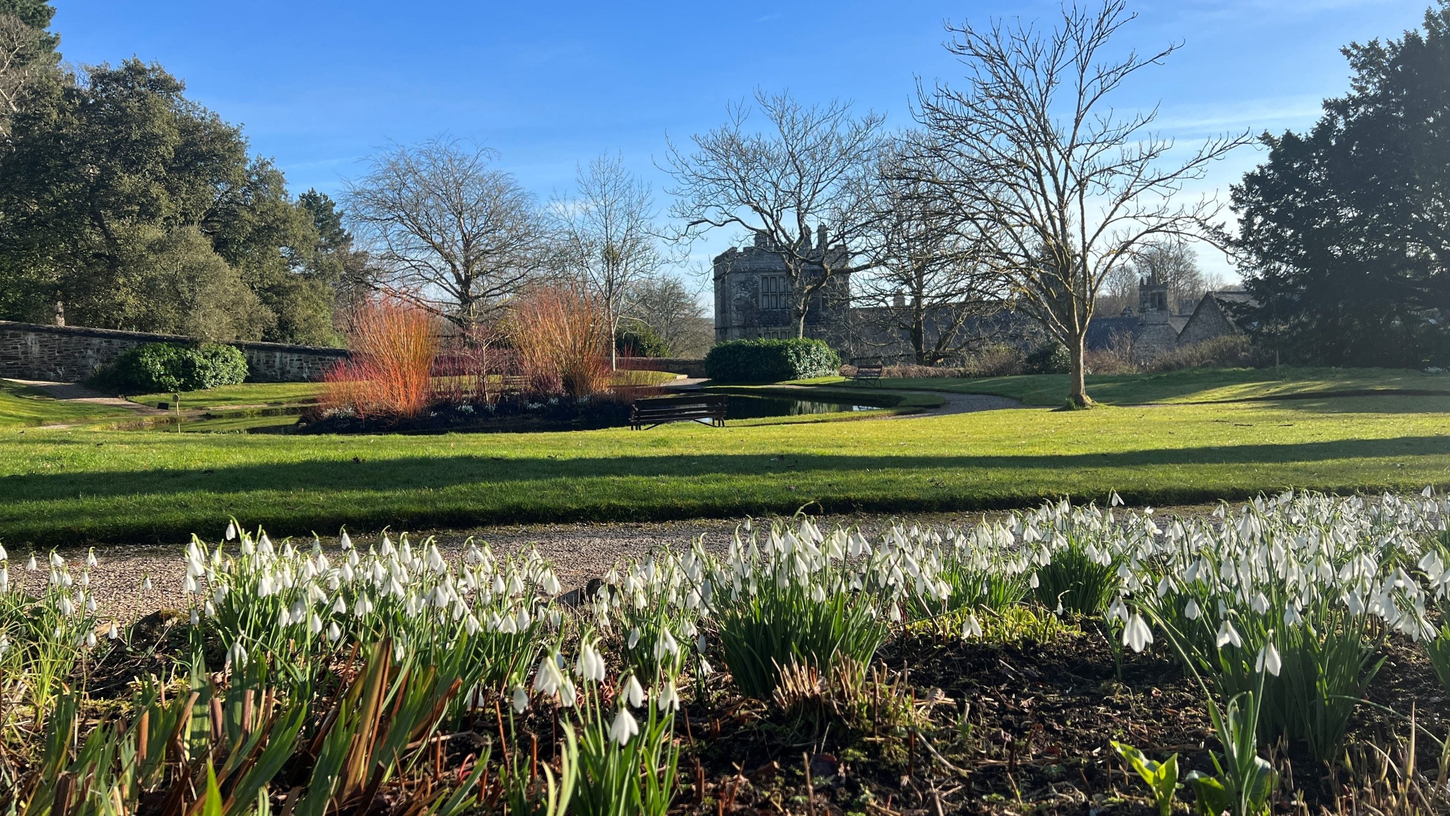 Visiting Cotehele's garden | Cornwall | National Trust