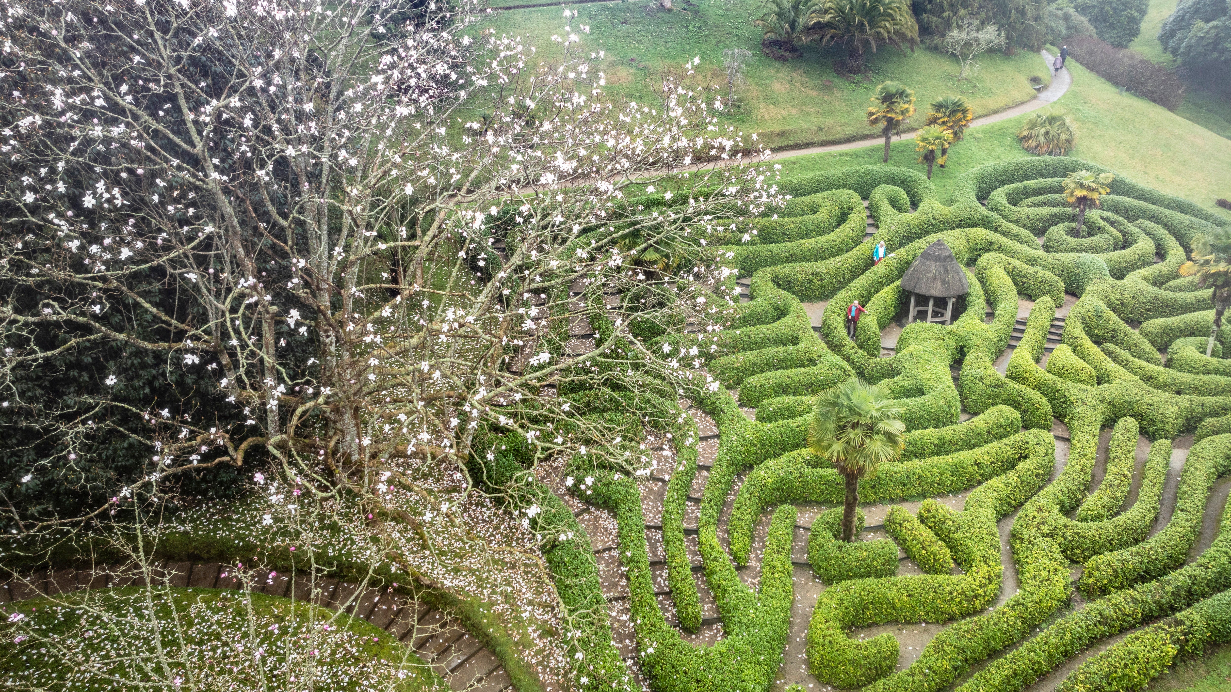 Cornwall | South West | England | National Trust