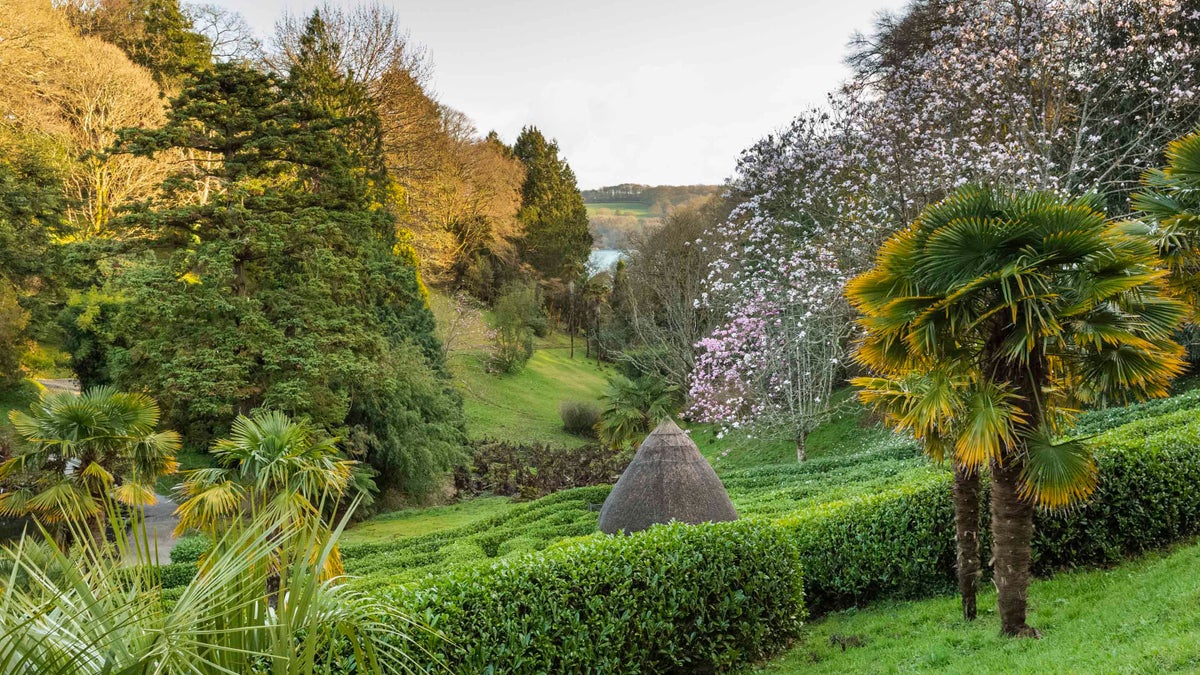 Glendurgan Garden | Cornwall | National Trust